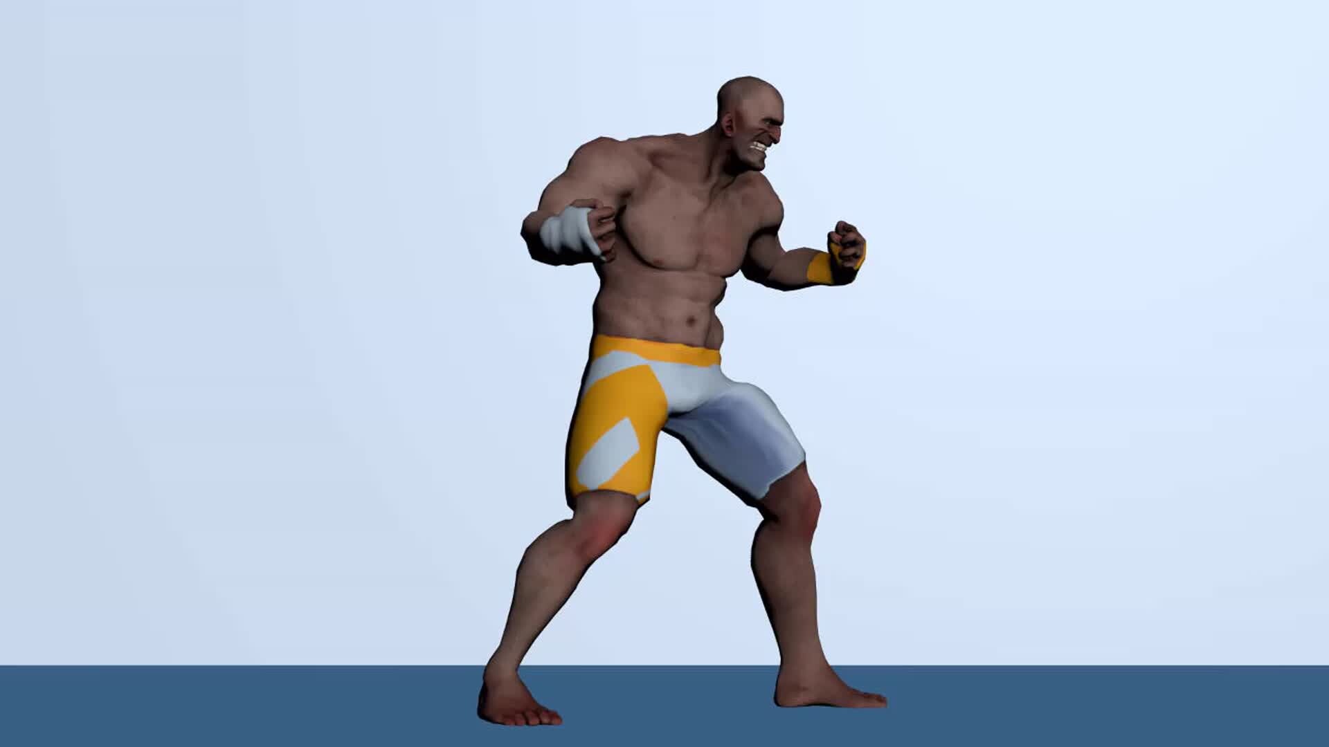 ArtStation - Animation practise: Fighter