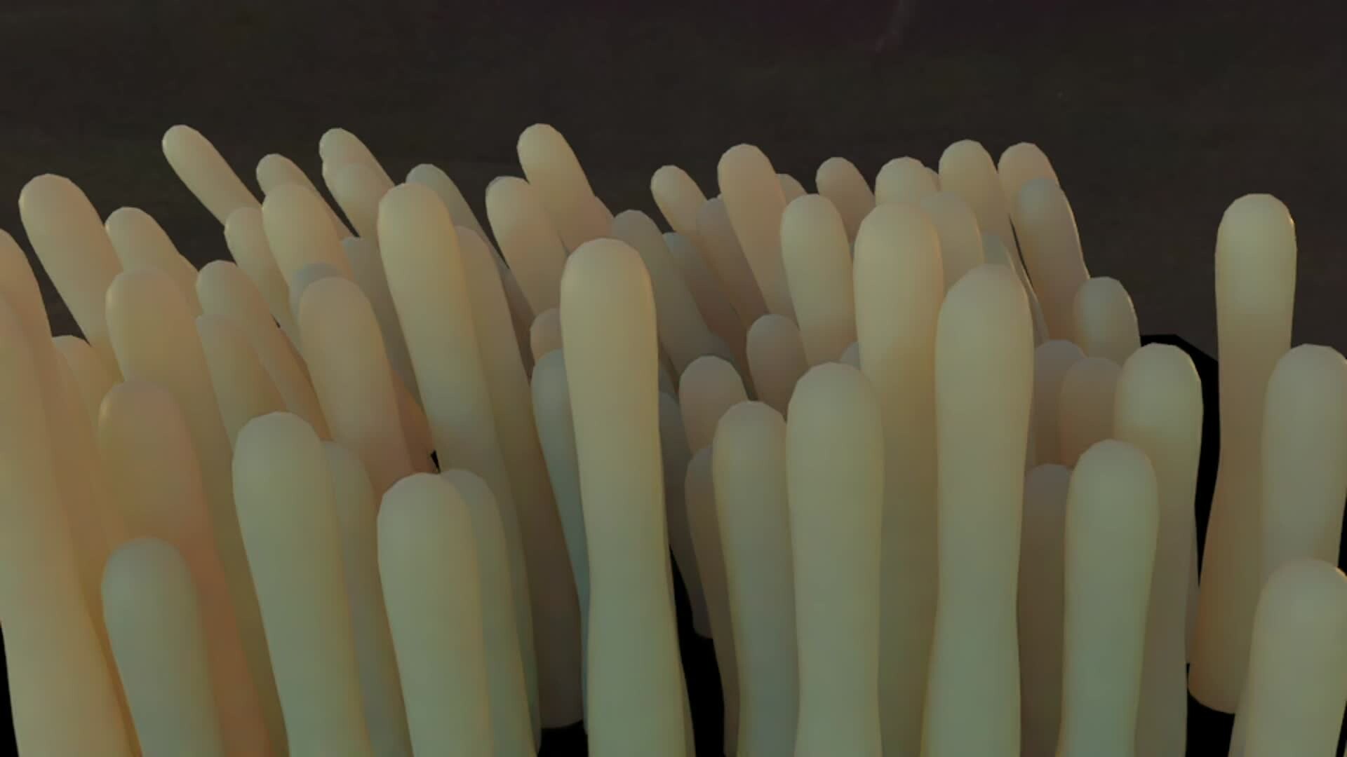 ArtStation - Villus Animation