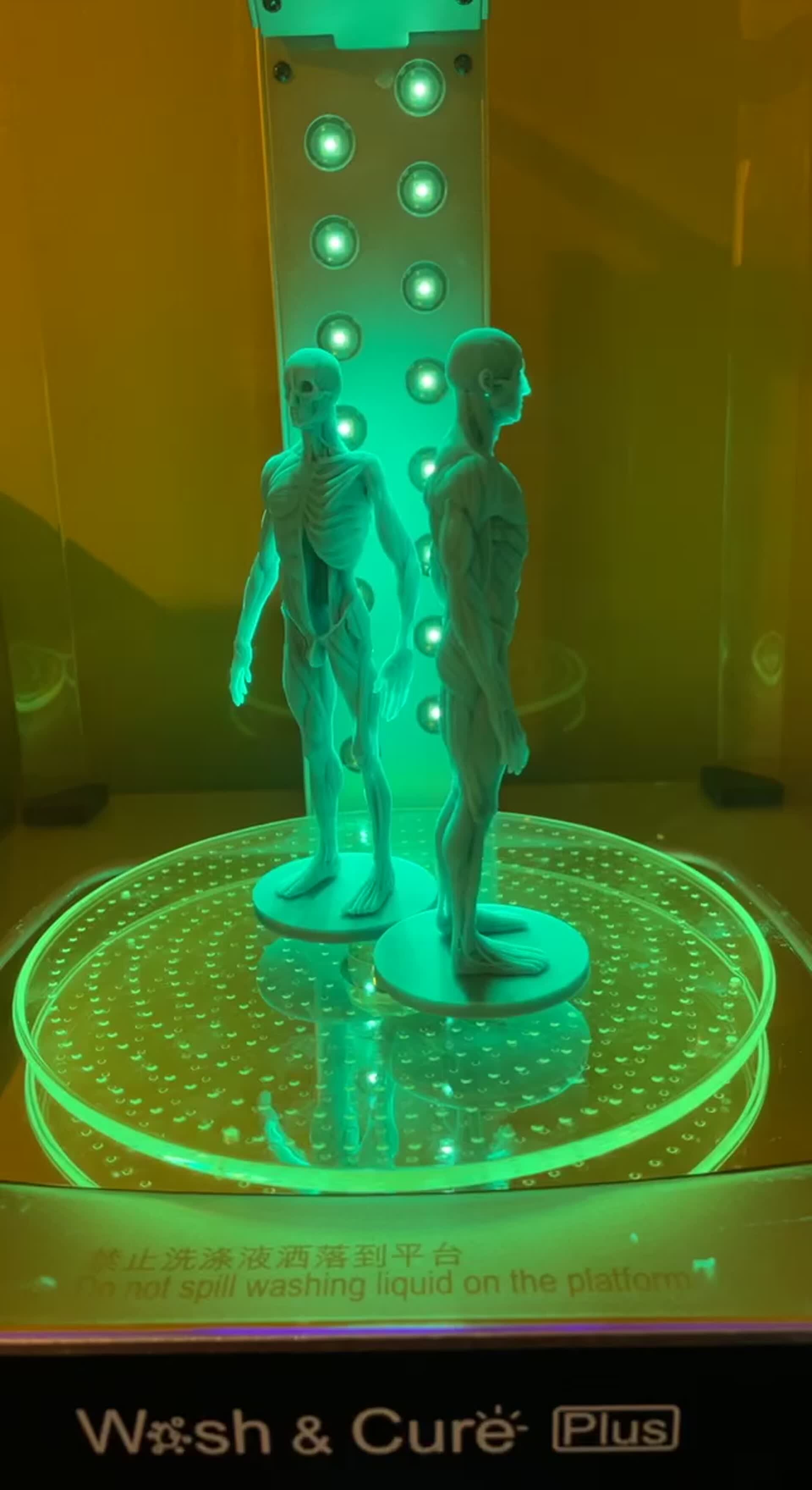 ArtStation - Anatomical 3D Print