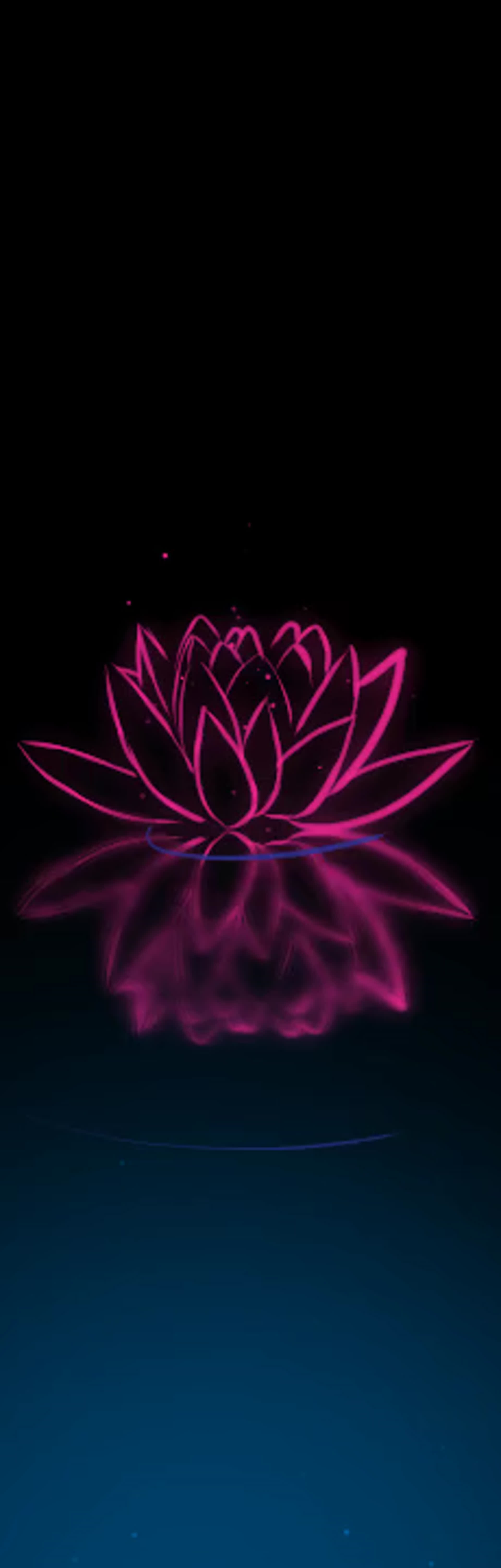 ArtStation - Frame by Frame Animations