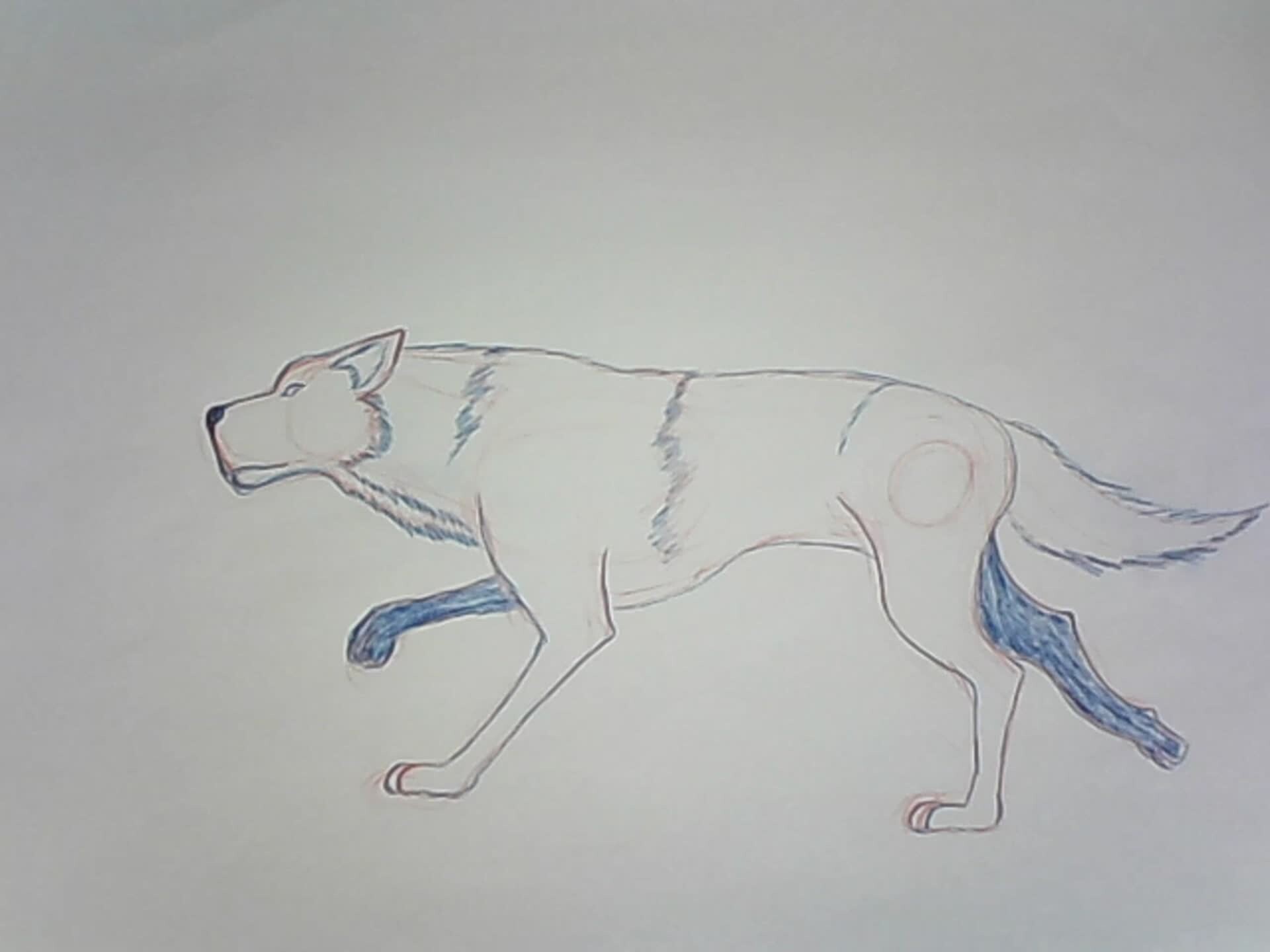 ArtStation - Wolf Run