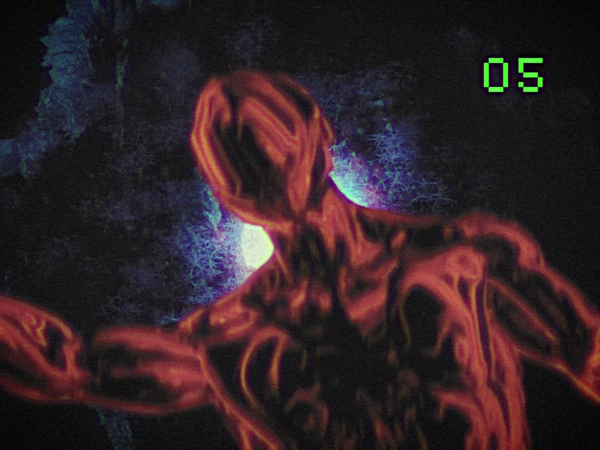 ArtStation - 005_VHS_Hurricane_Flower