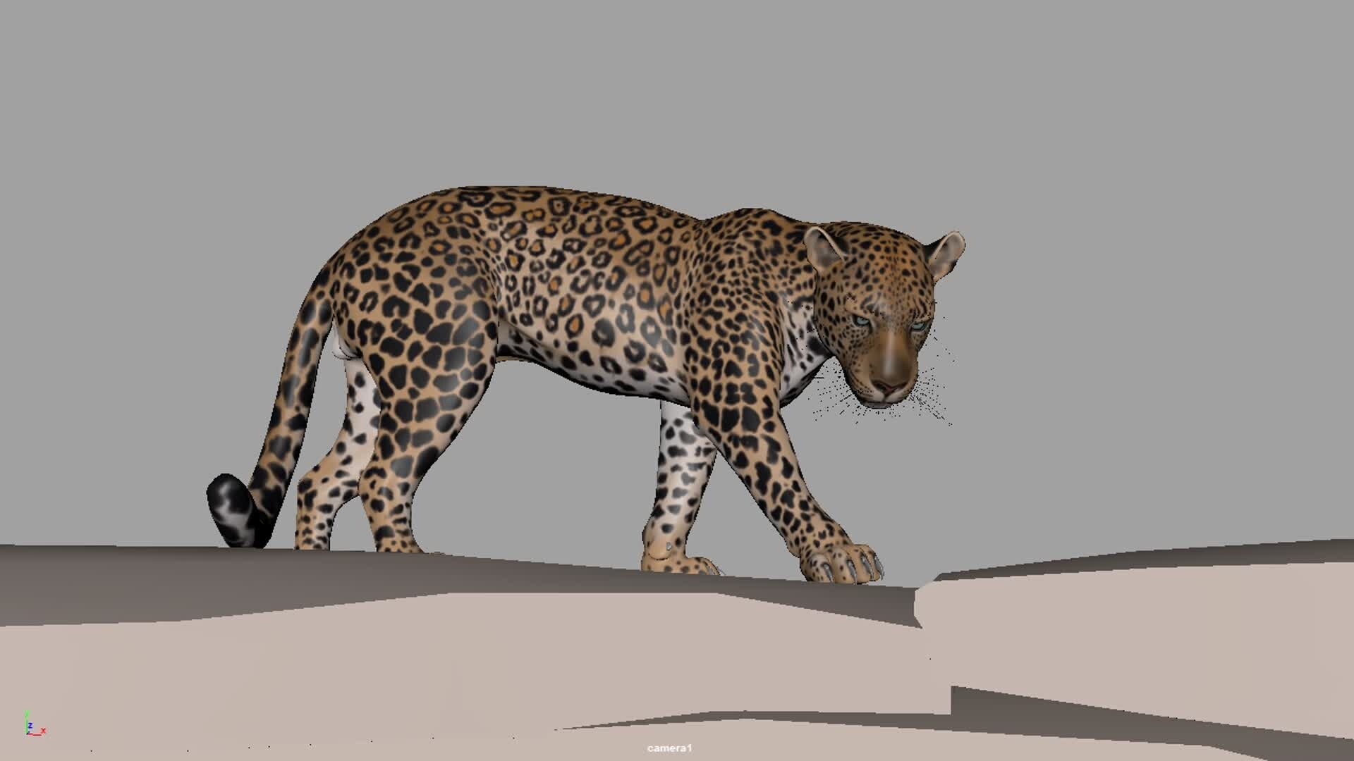 ArtStation - Keyframe animation leopard