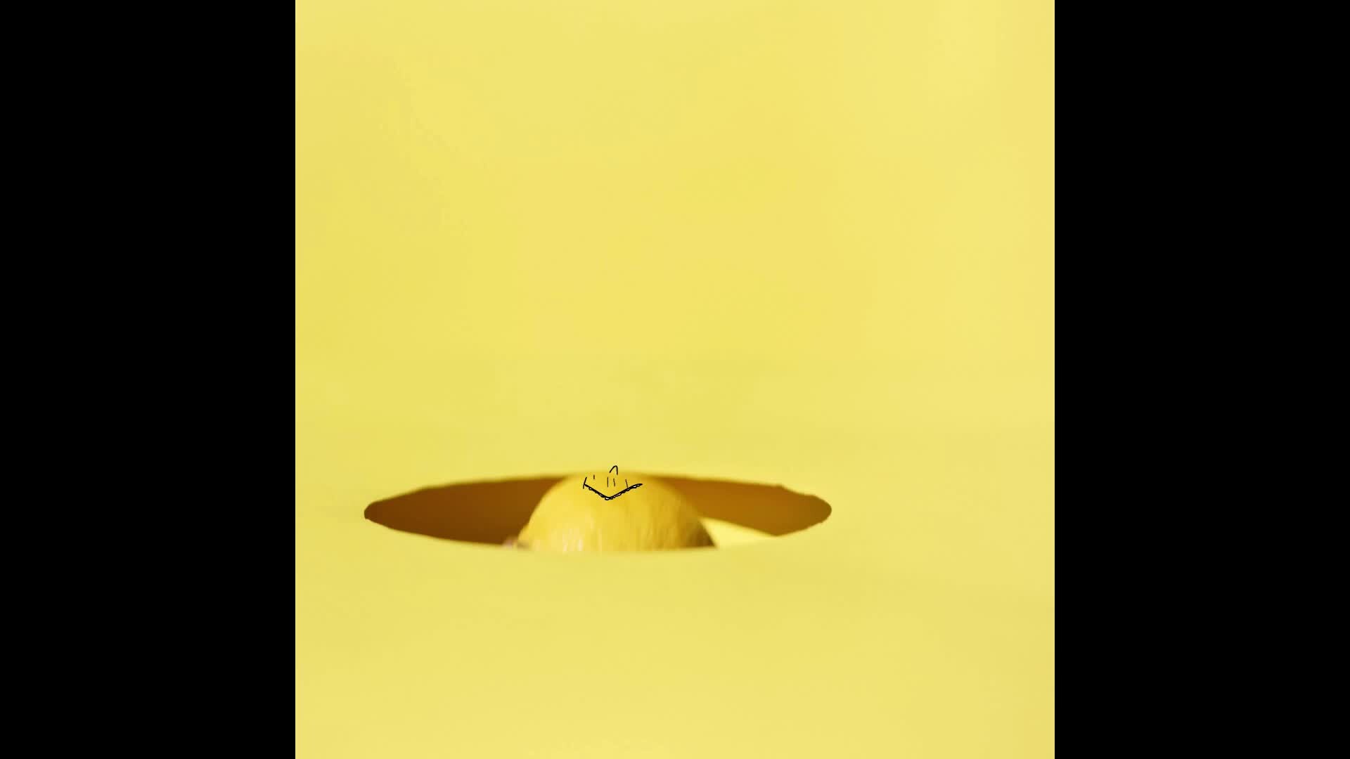 ArtStation - Animated Lemon