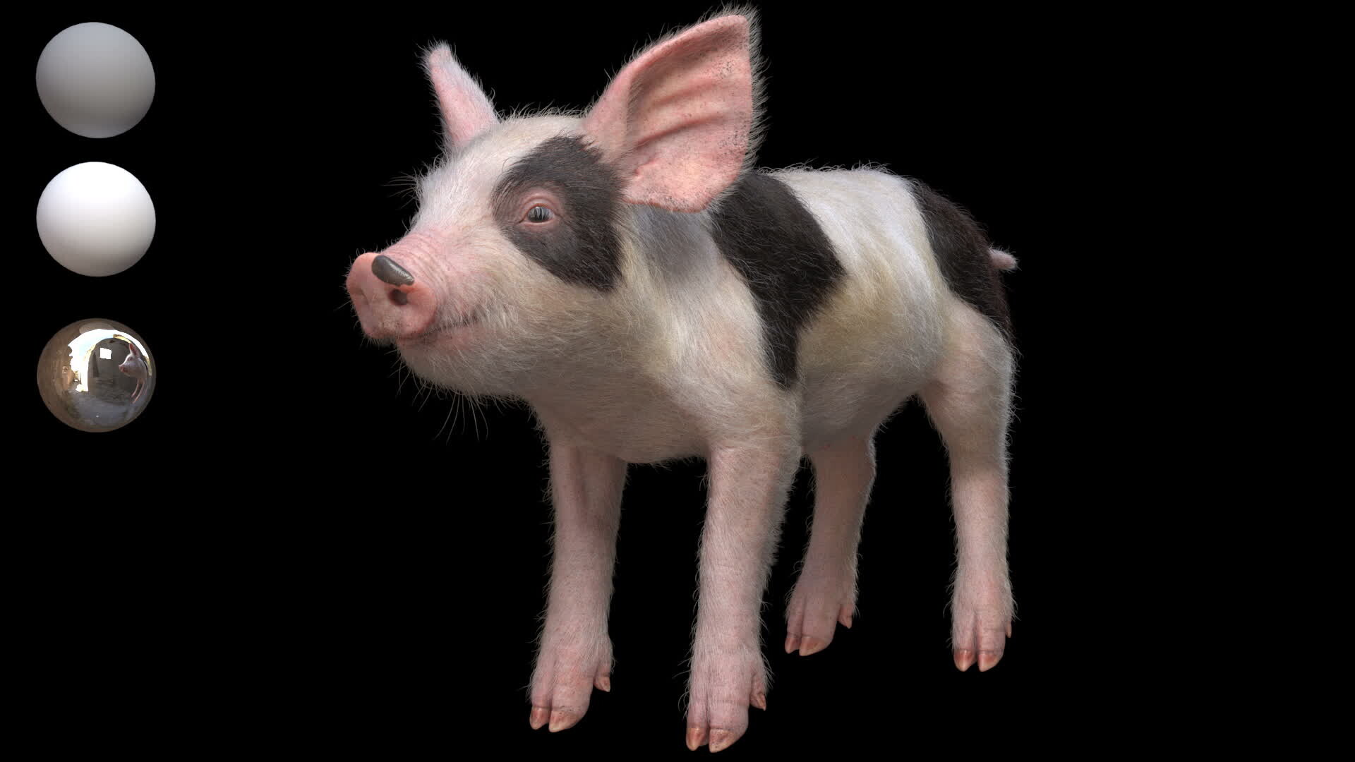 ArtStation - CG Daisy Pig-Yiihuu Tutorial