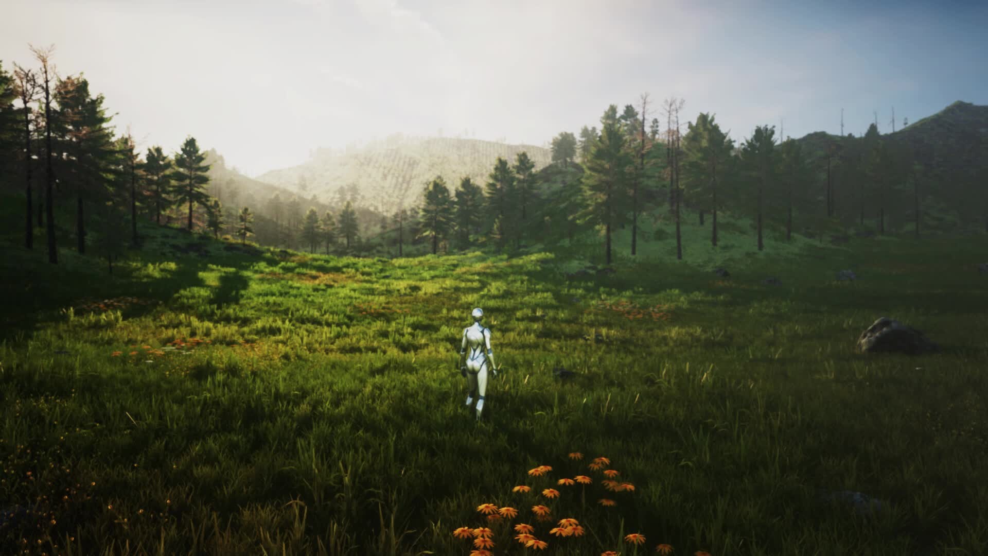 Artstation Grassland