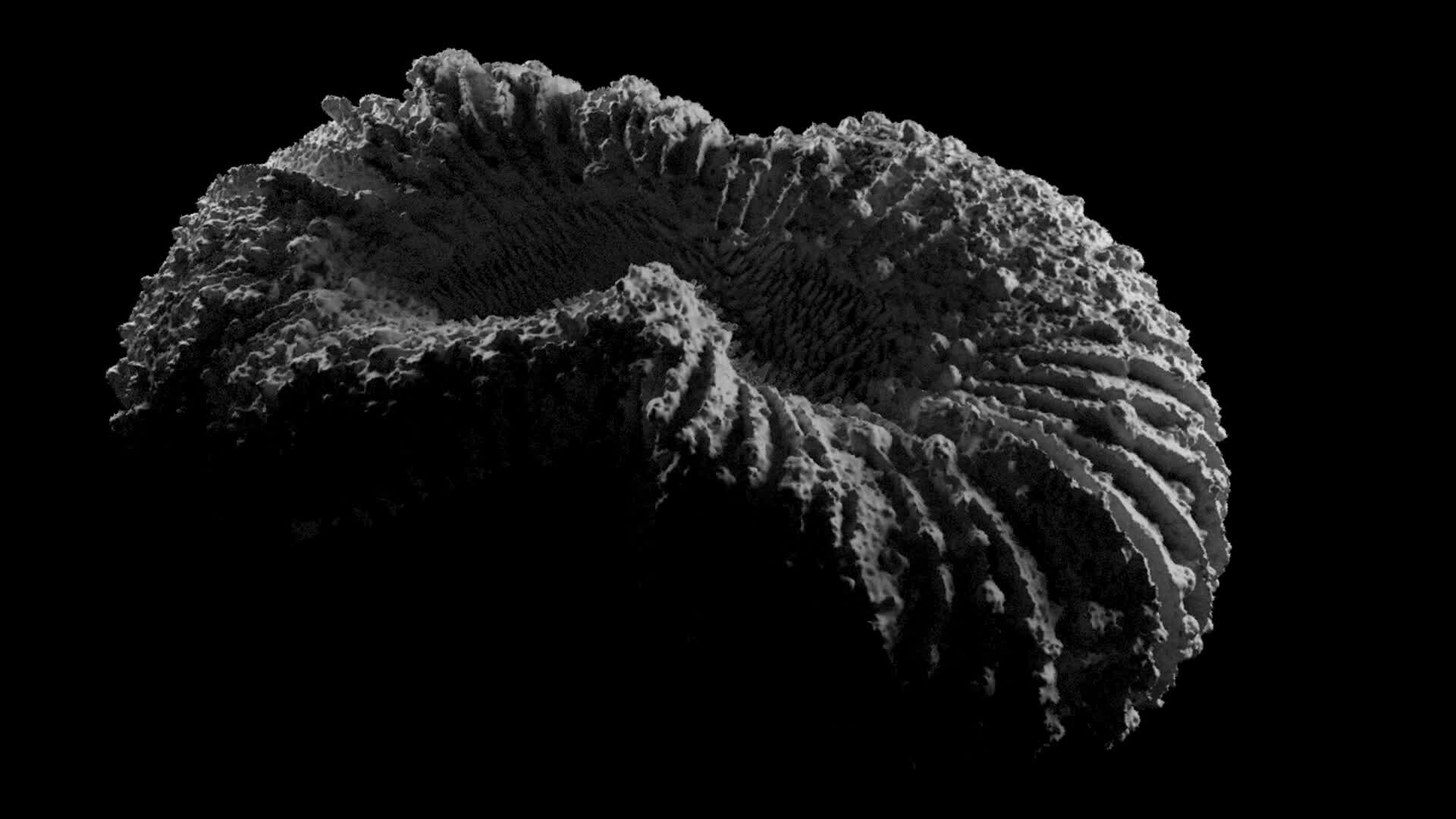 ArtStation - PROCEDURAL CORAL