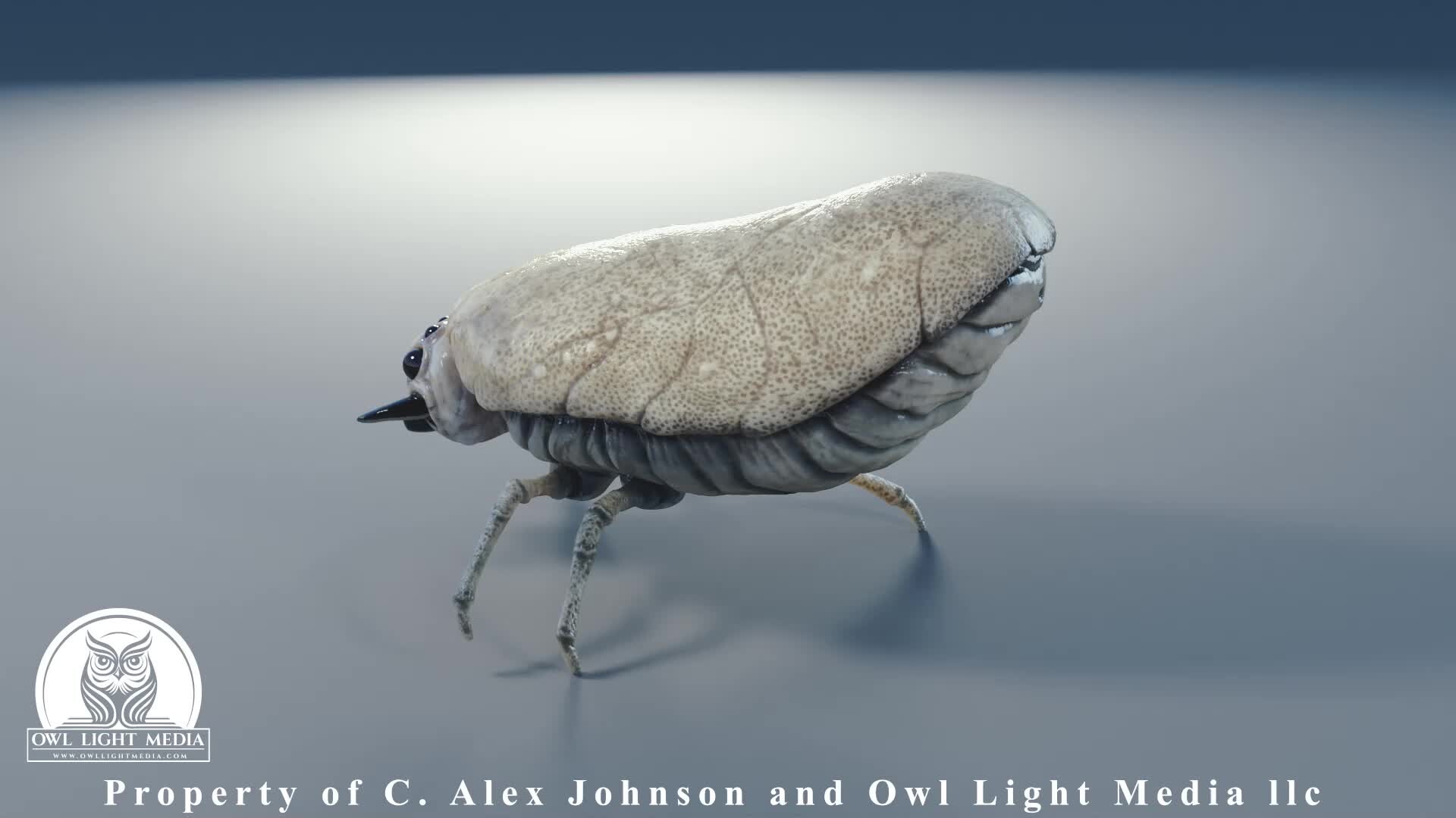 ArtStation - Fun little 4 legged Critter