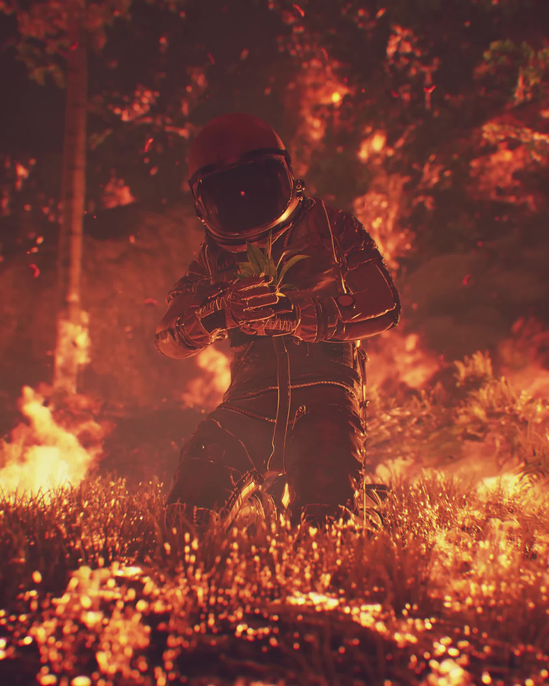 ArtStation - Forest Fire