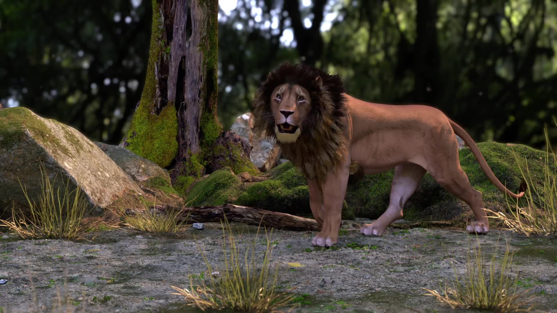 ArtStation - Lion Animation