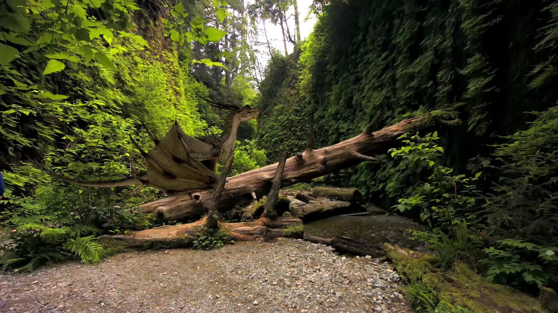 ArtStation - Dragon VFX Compositing