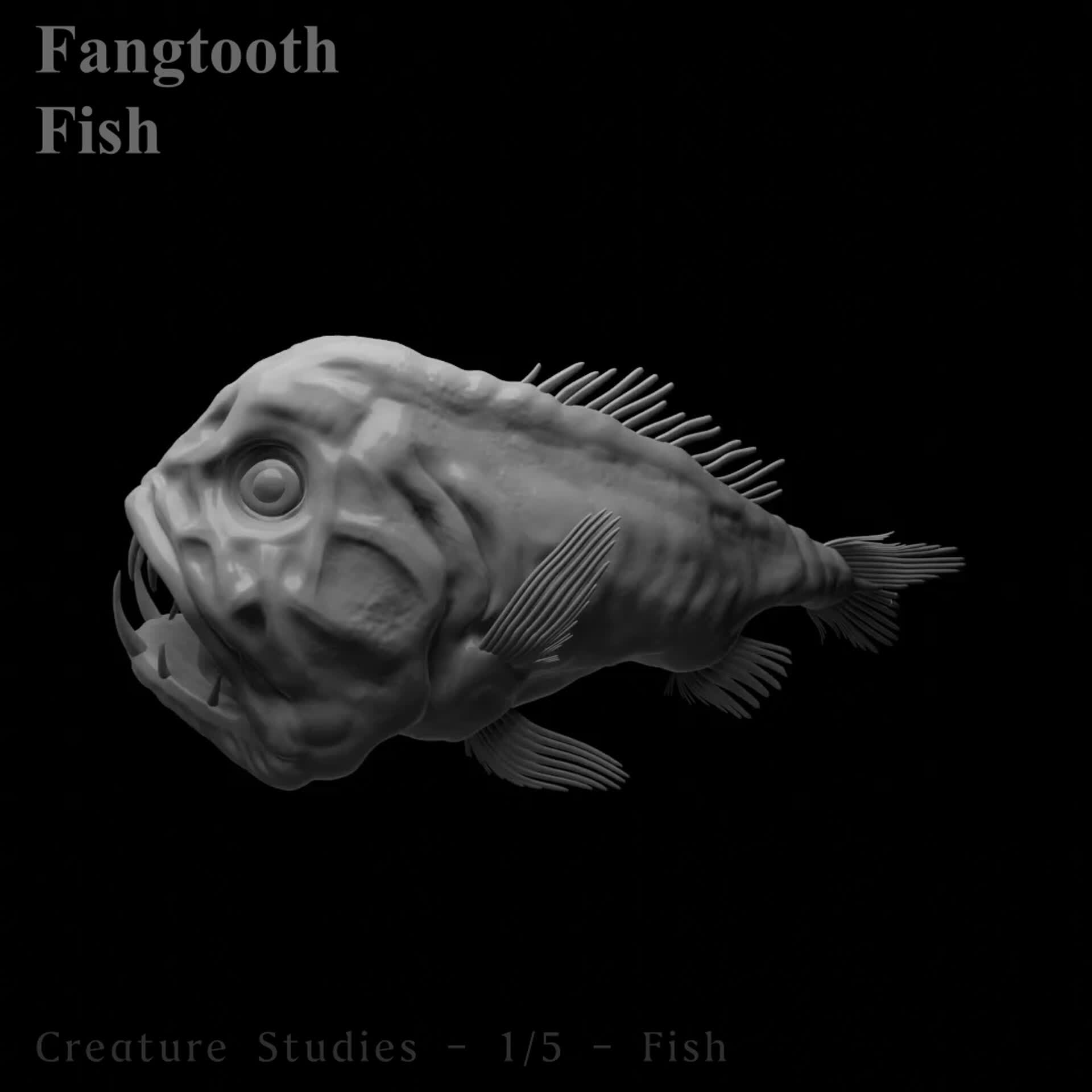 ArtStation - Fang-tooth Fish