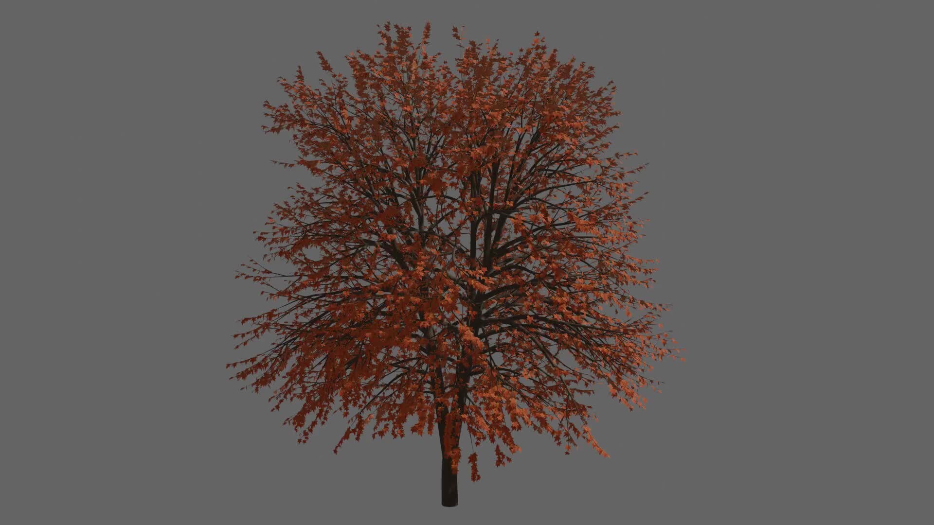 ArtStation - Tree wind animation