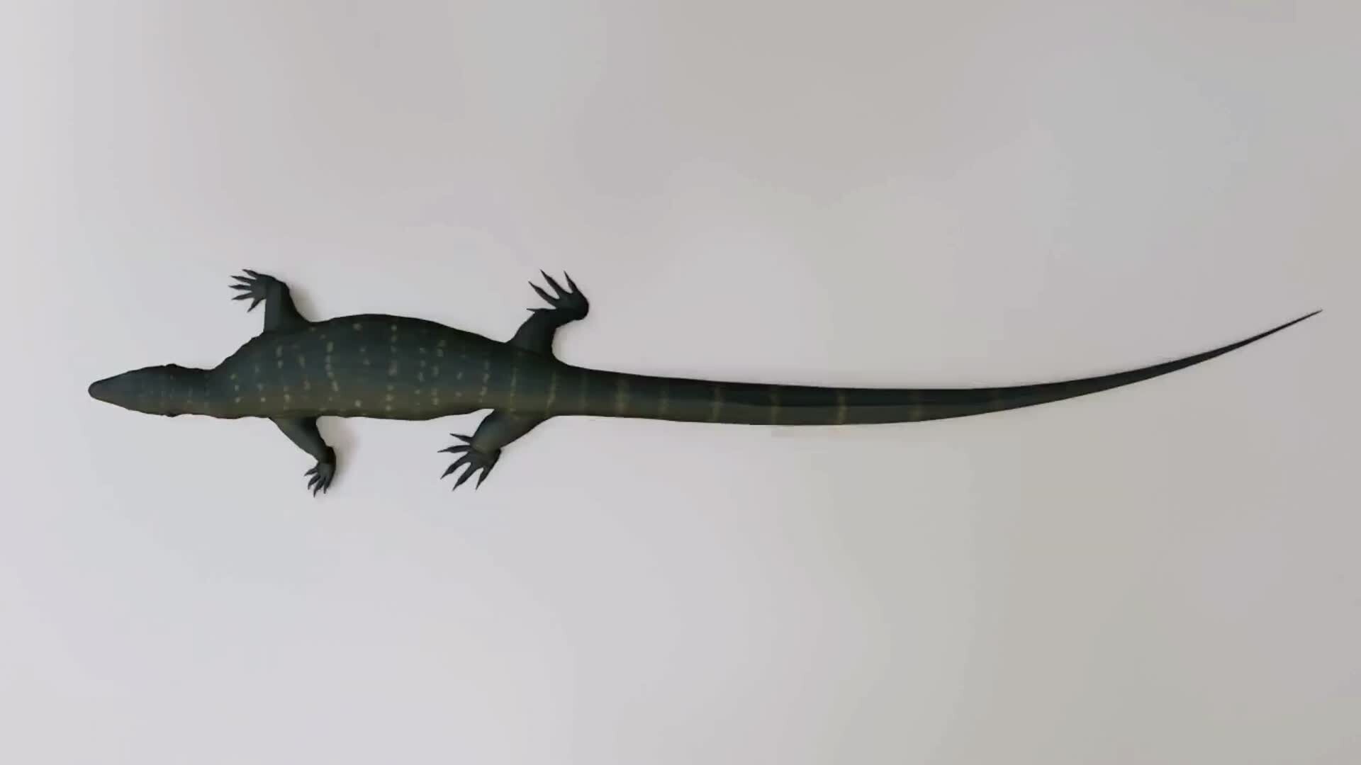 ArtStation - Lizard animation