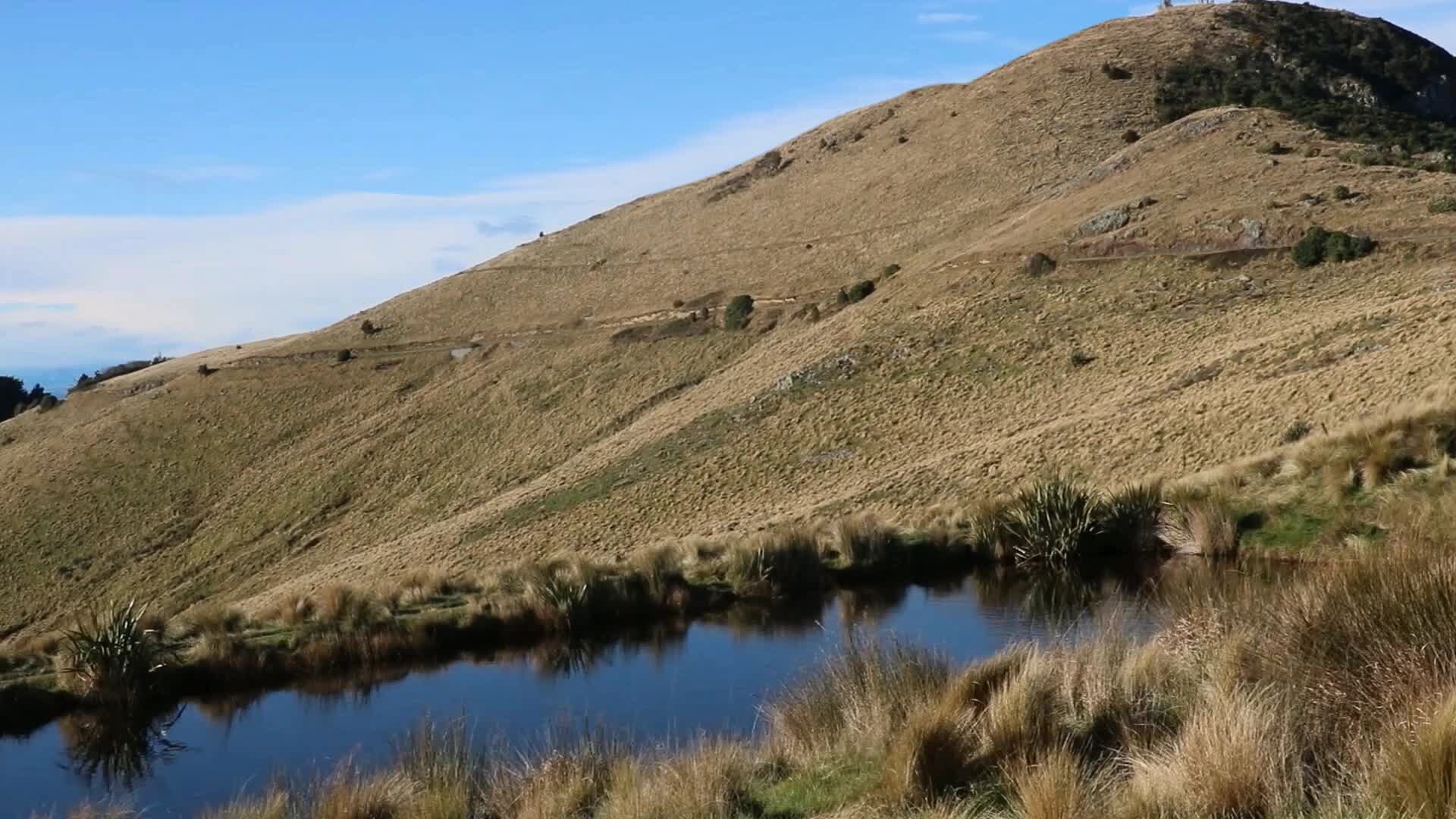 ArtStation - Meteor Animation