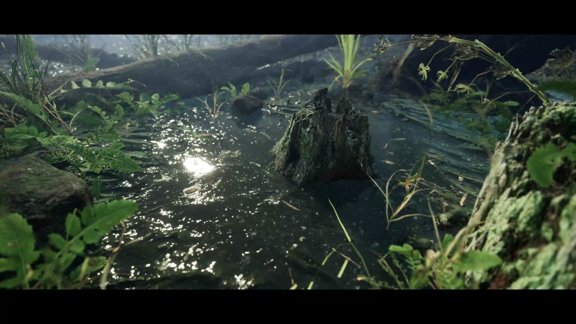 ArtStation - wetlands
