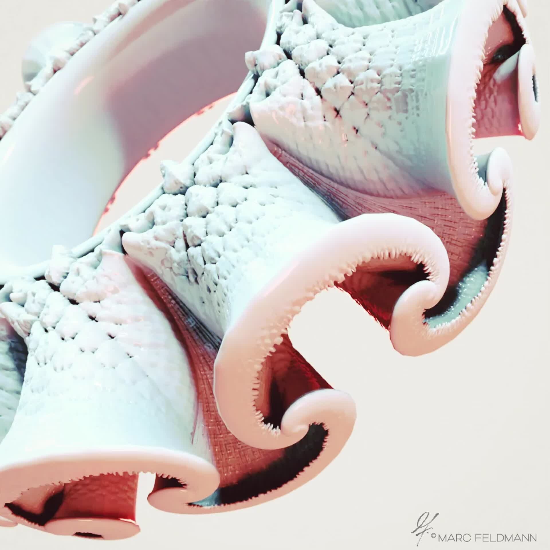 ArtStation - hyperbolic shell structure