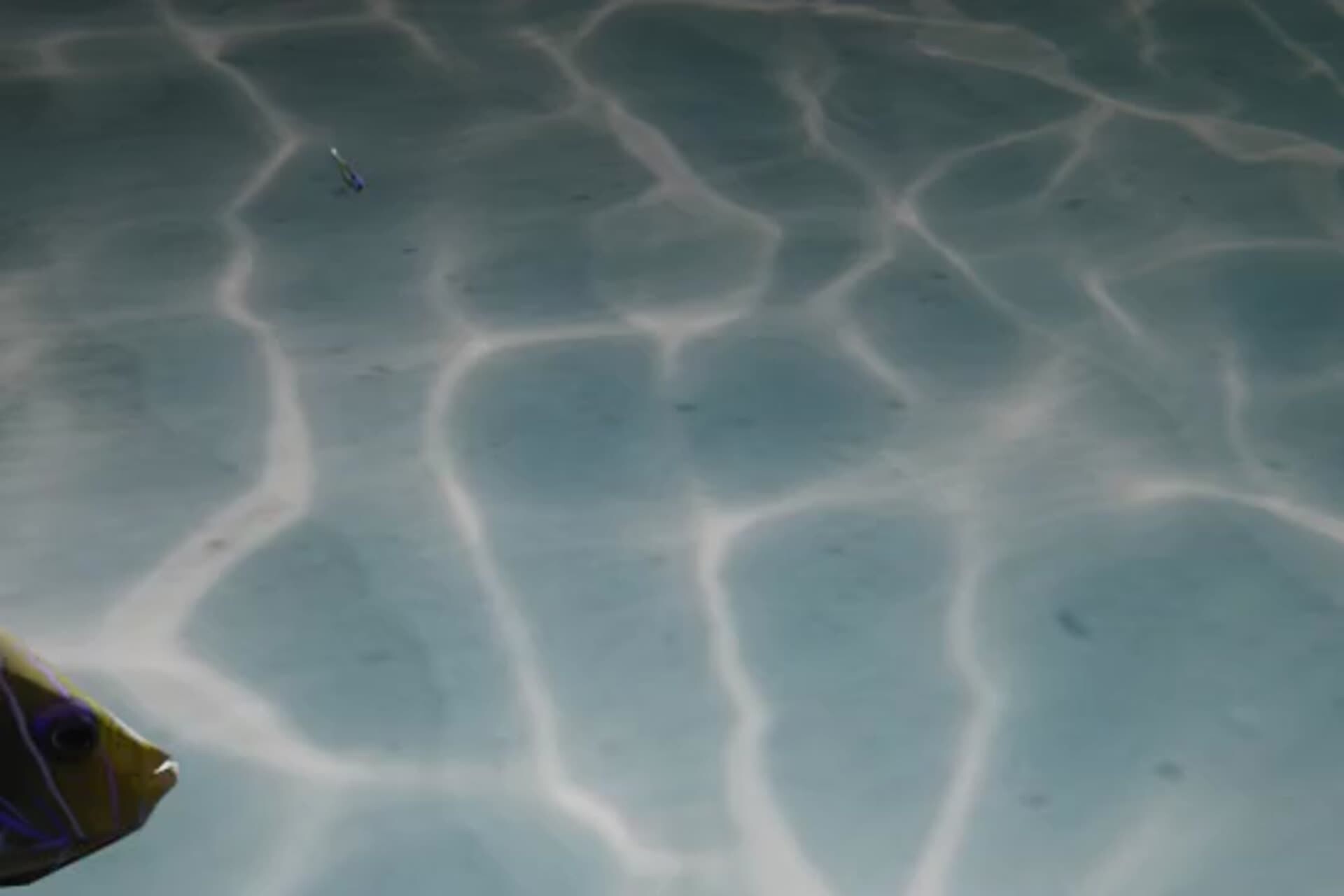 ArtStation - Fish? HAHA