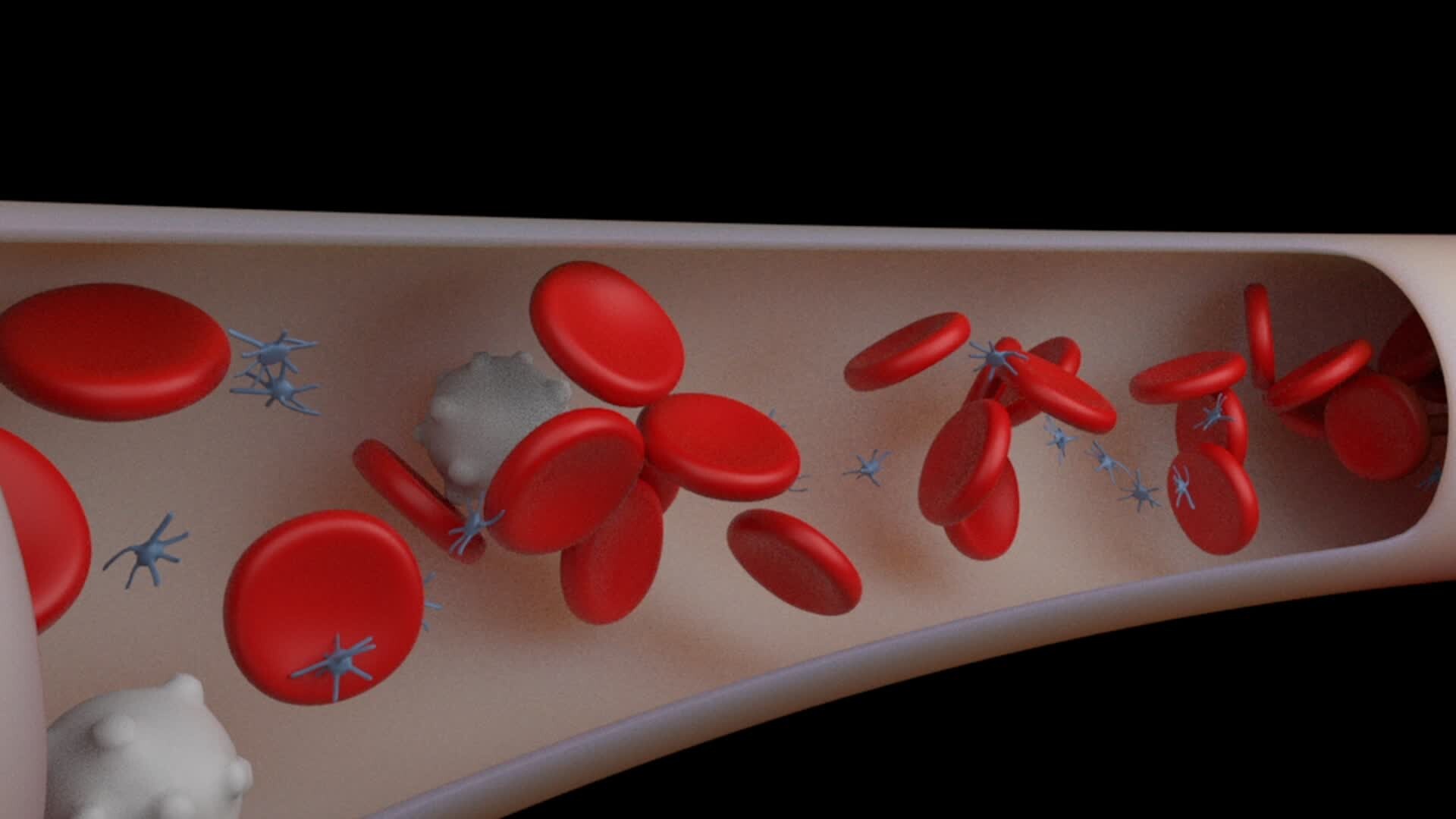 ArtStation - Blood Flow