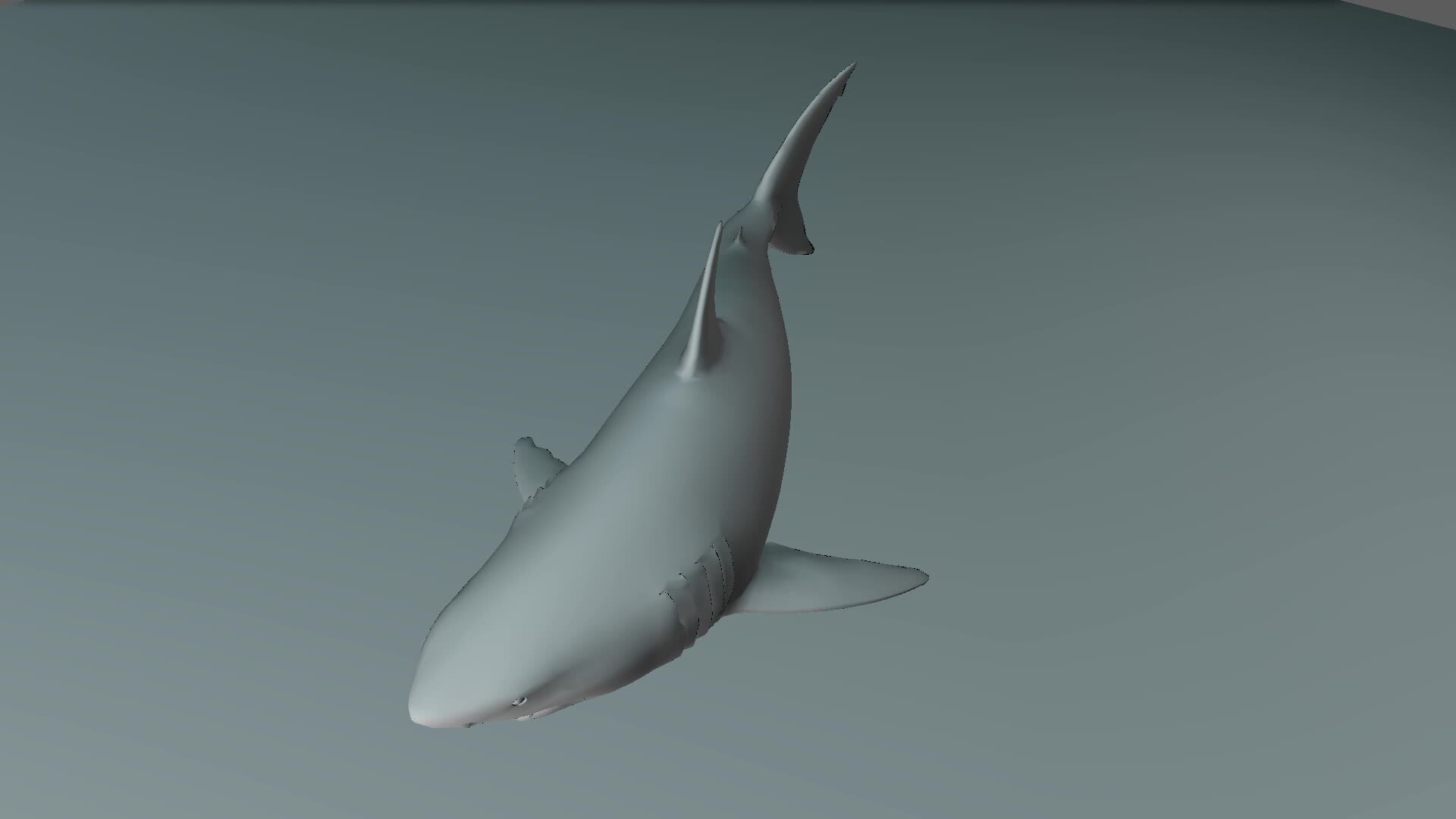 ArtStation - Shark swim