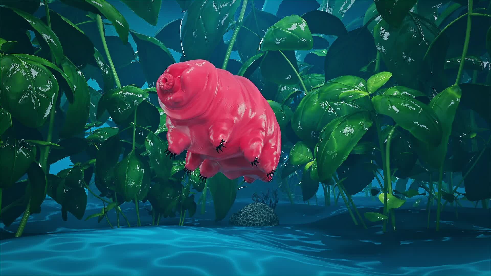 ArtStation - Tardigrade