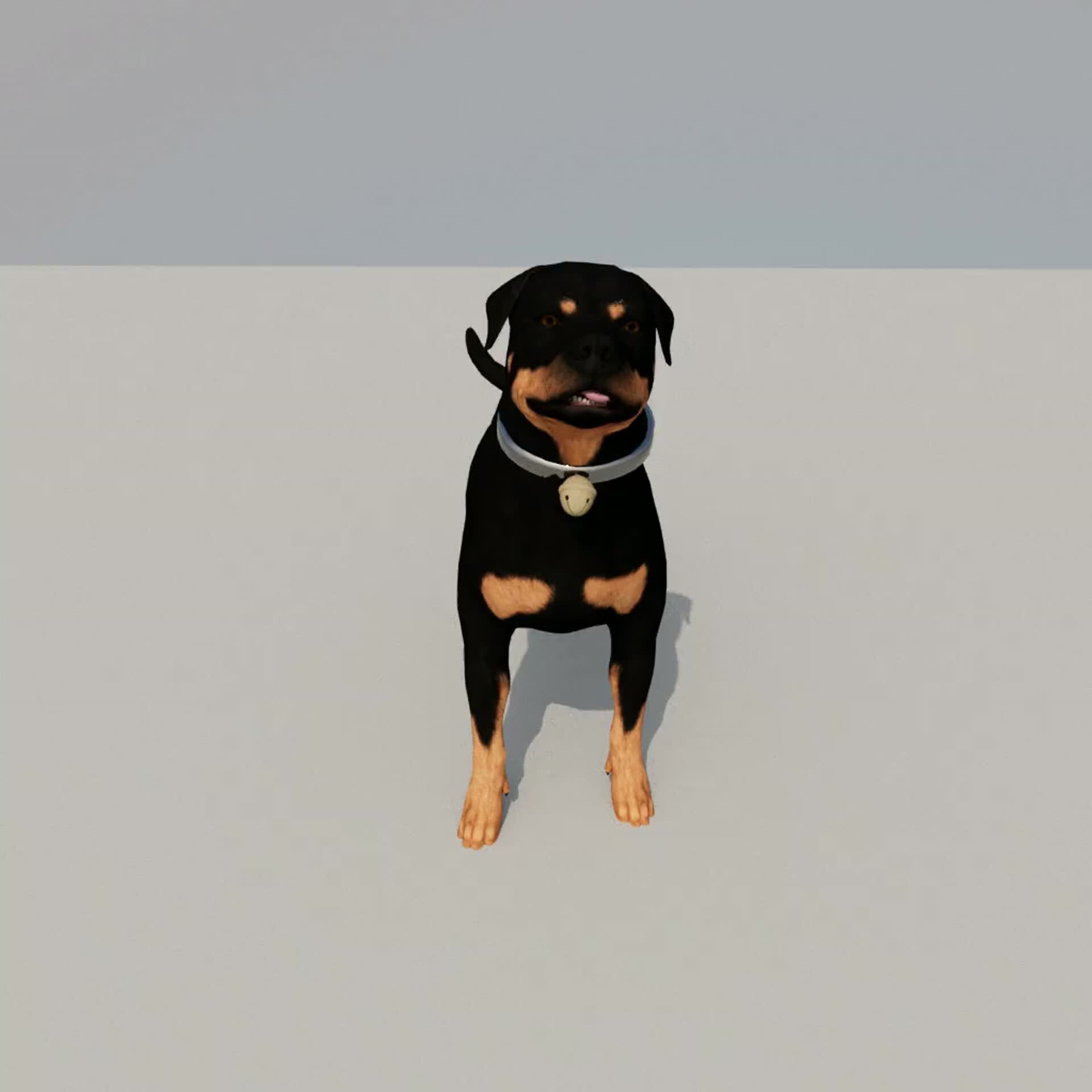 ArtStation - dog animation