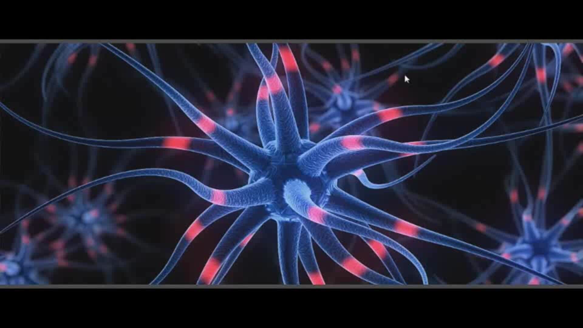 ArtStation - brain cell animation