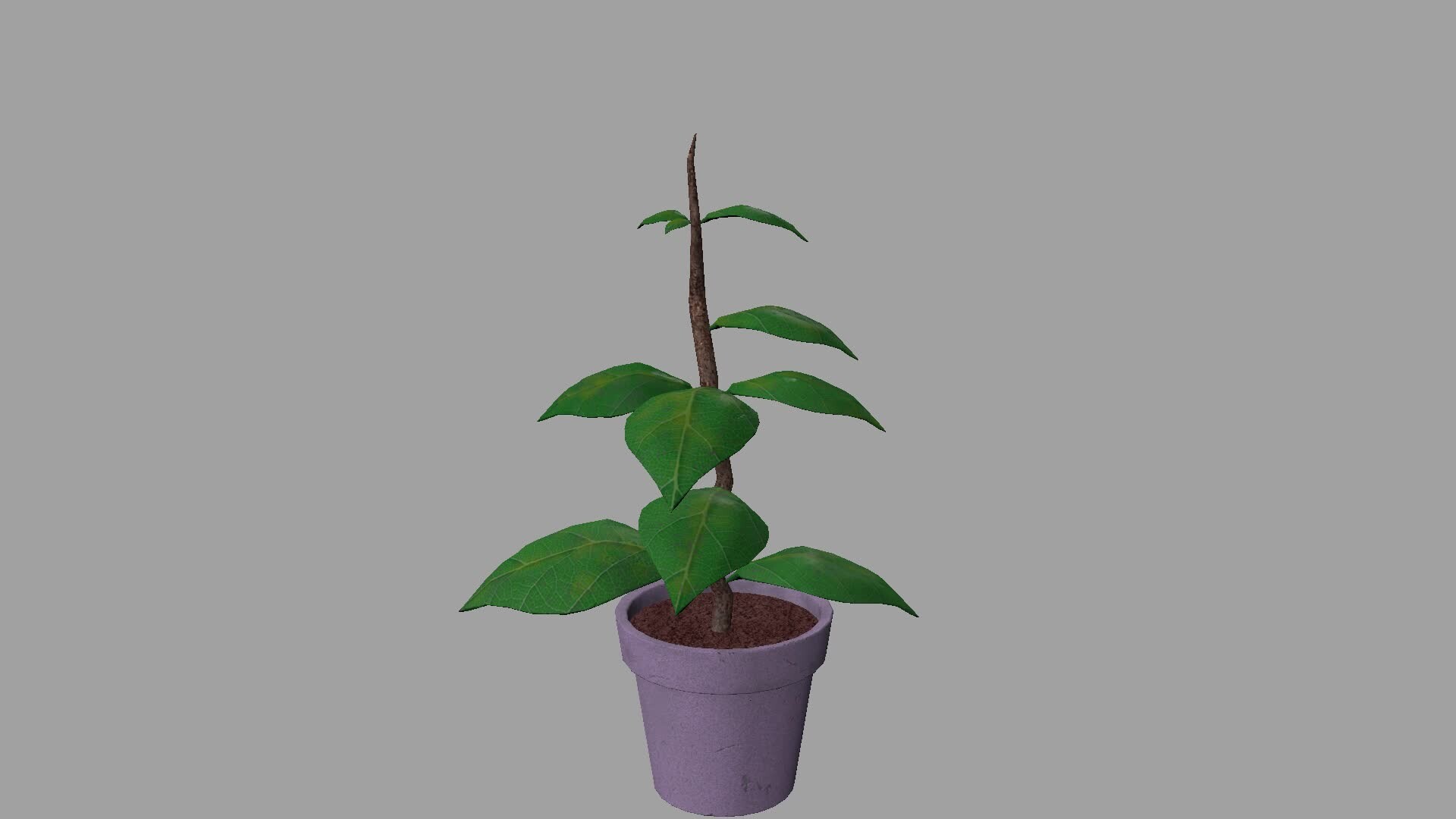 ArtStation - Low poly plant 3d model...
