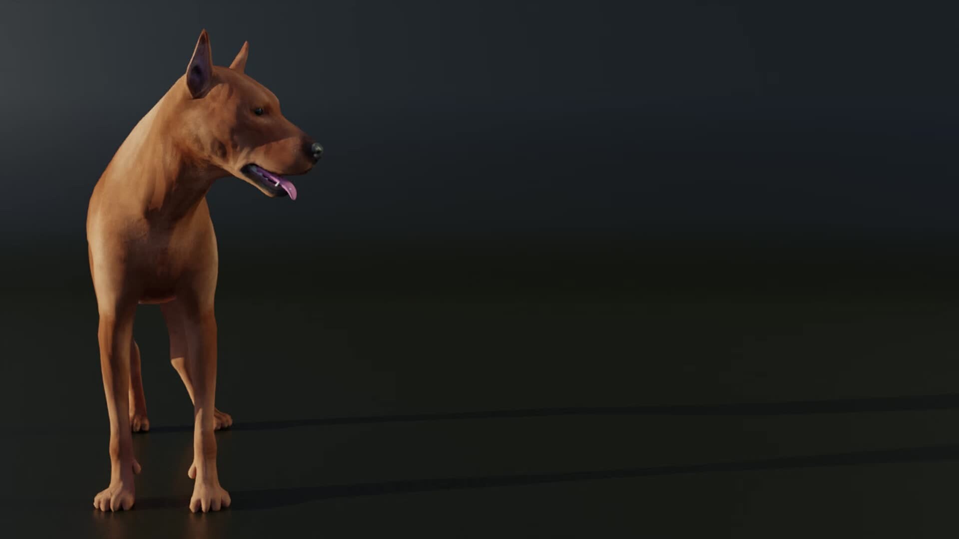 ArtStation - Practise- realistic creature animation