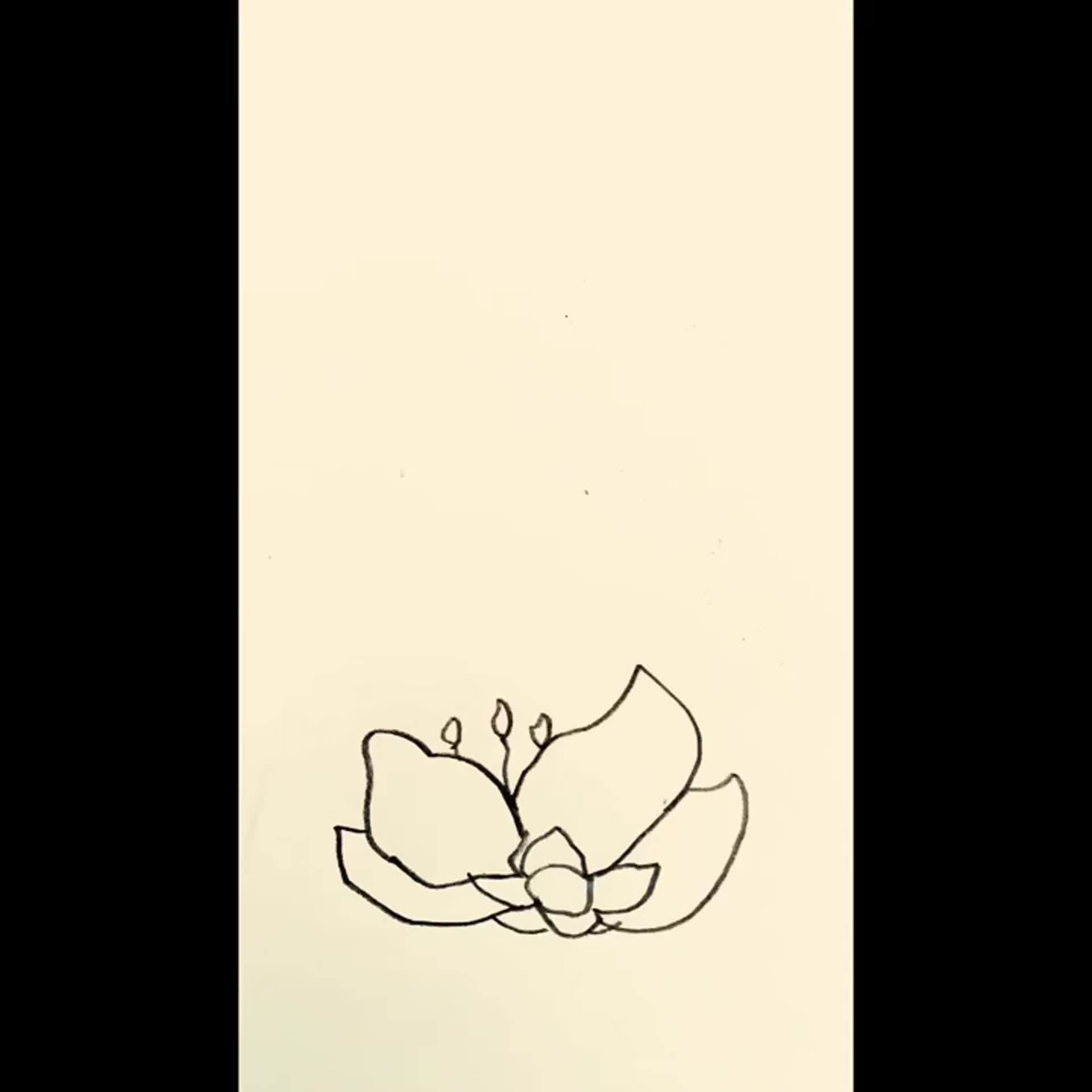 ArtStation - Flower Bloom (animation)