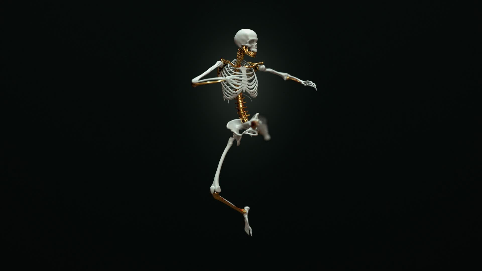 ArtStation - Skeleton Loop Animation