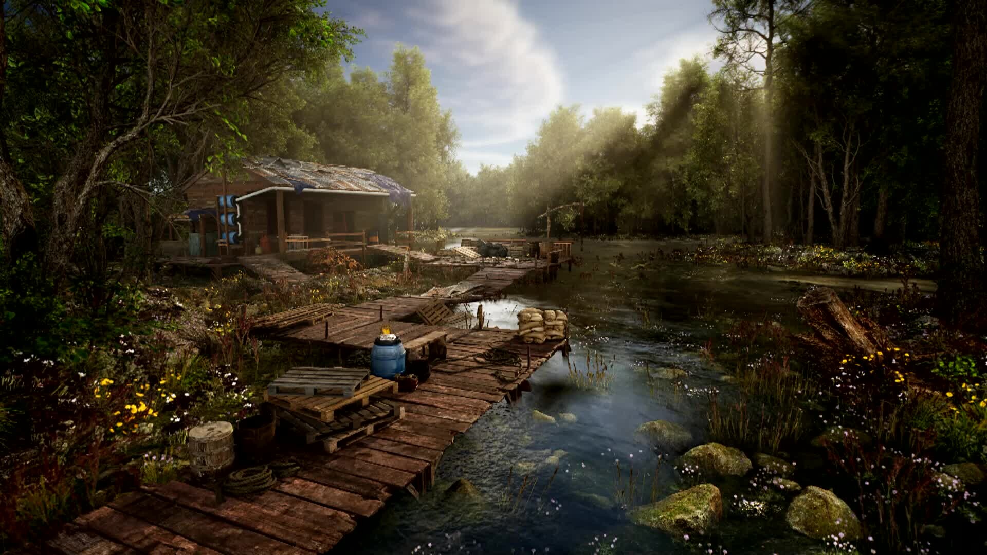 ArtStation - Realistic Swamp in Unreal 5
