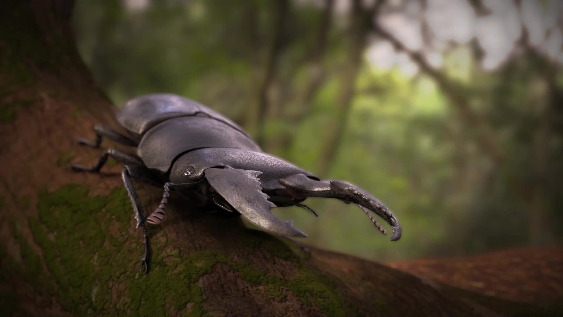 ArtStation - Realistic Animation of a Dorcus Titanus