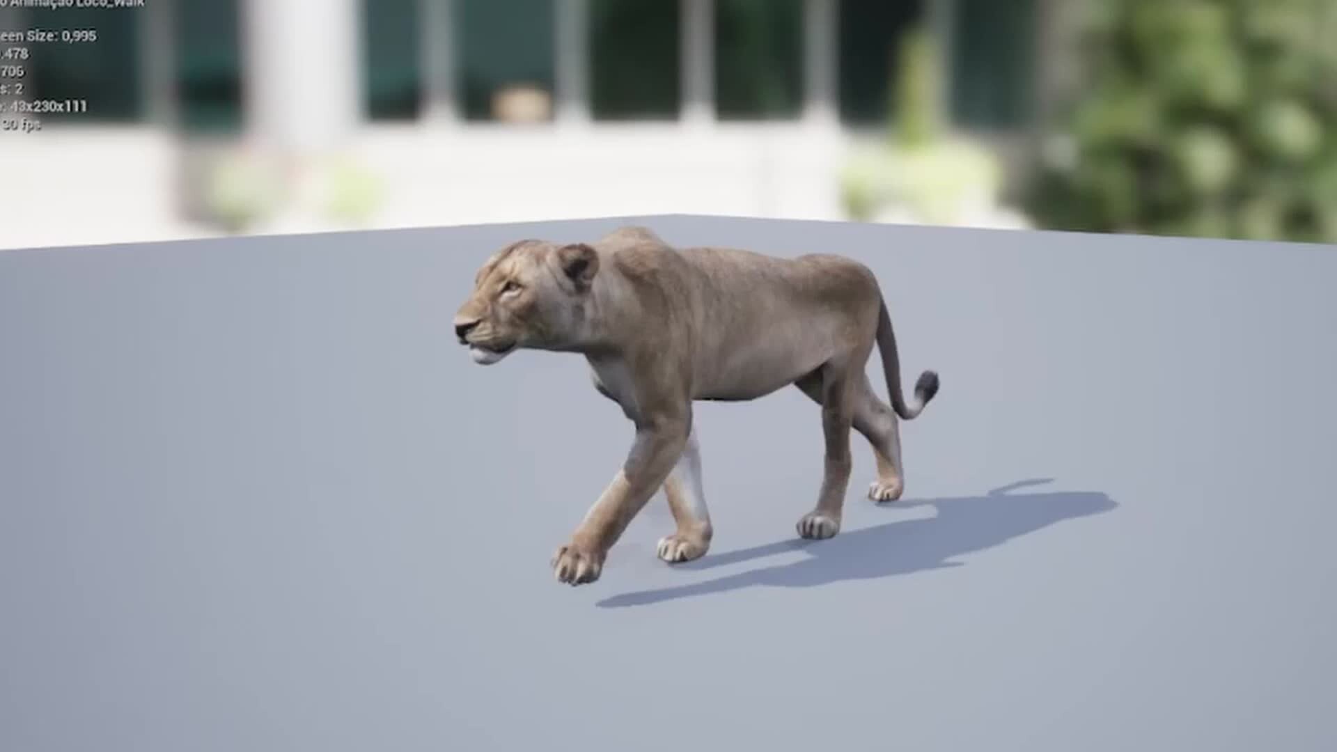 ArtStation - Quadruped animation