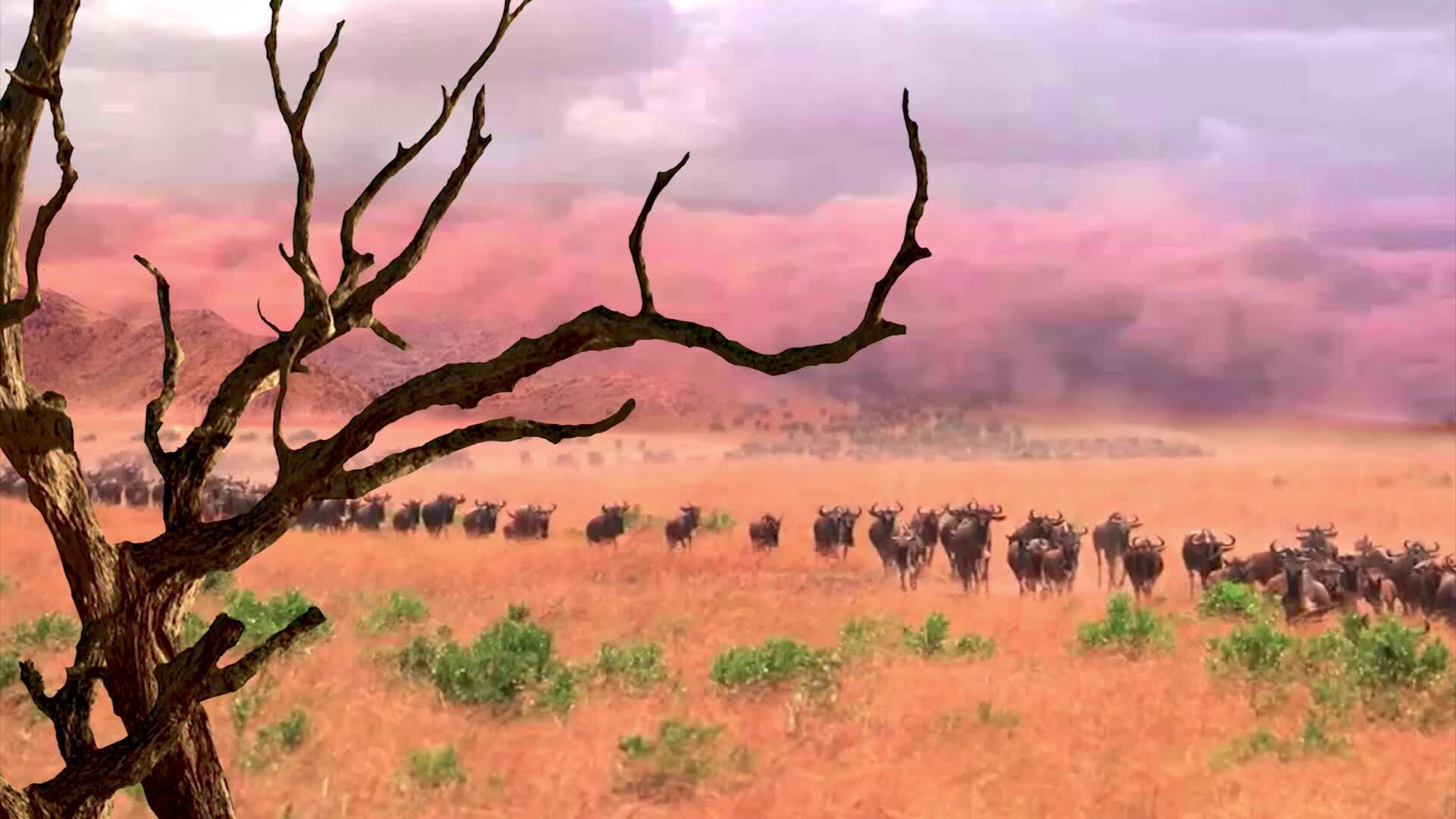 ArtStation - Simoon (Sand storm)