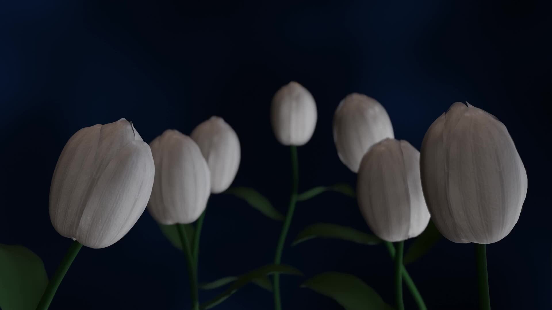 ArtStation - Lily Flower Animation