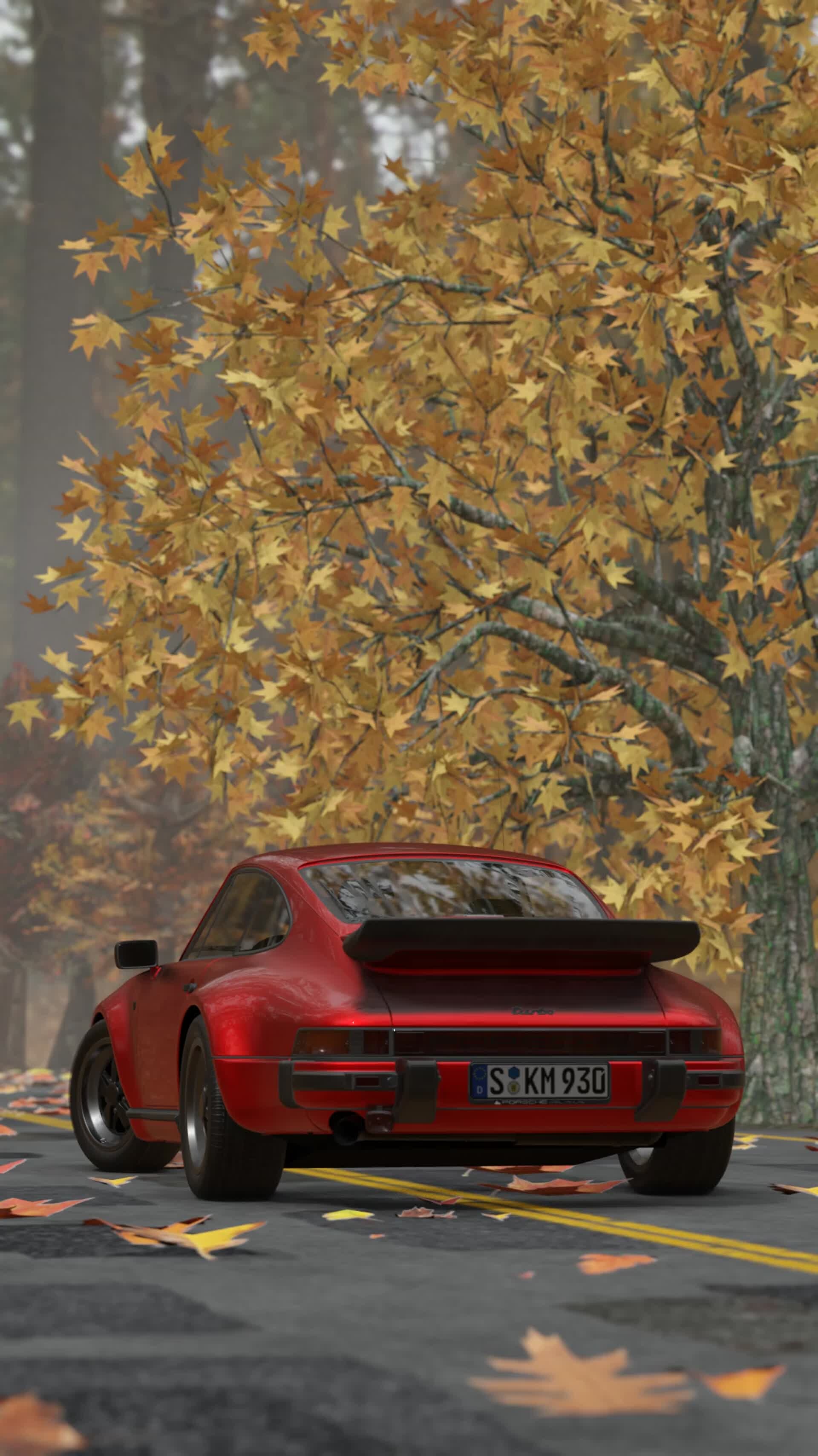 ArtStation - Porsche in autumn animation