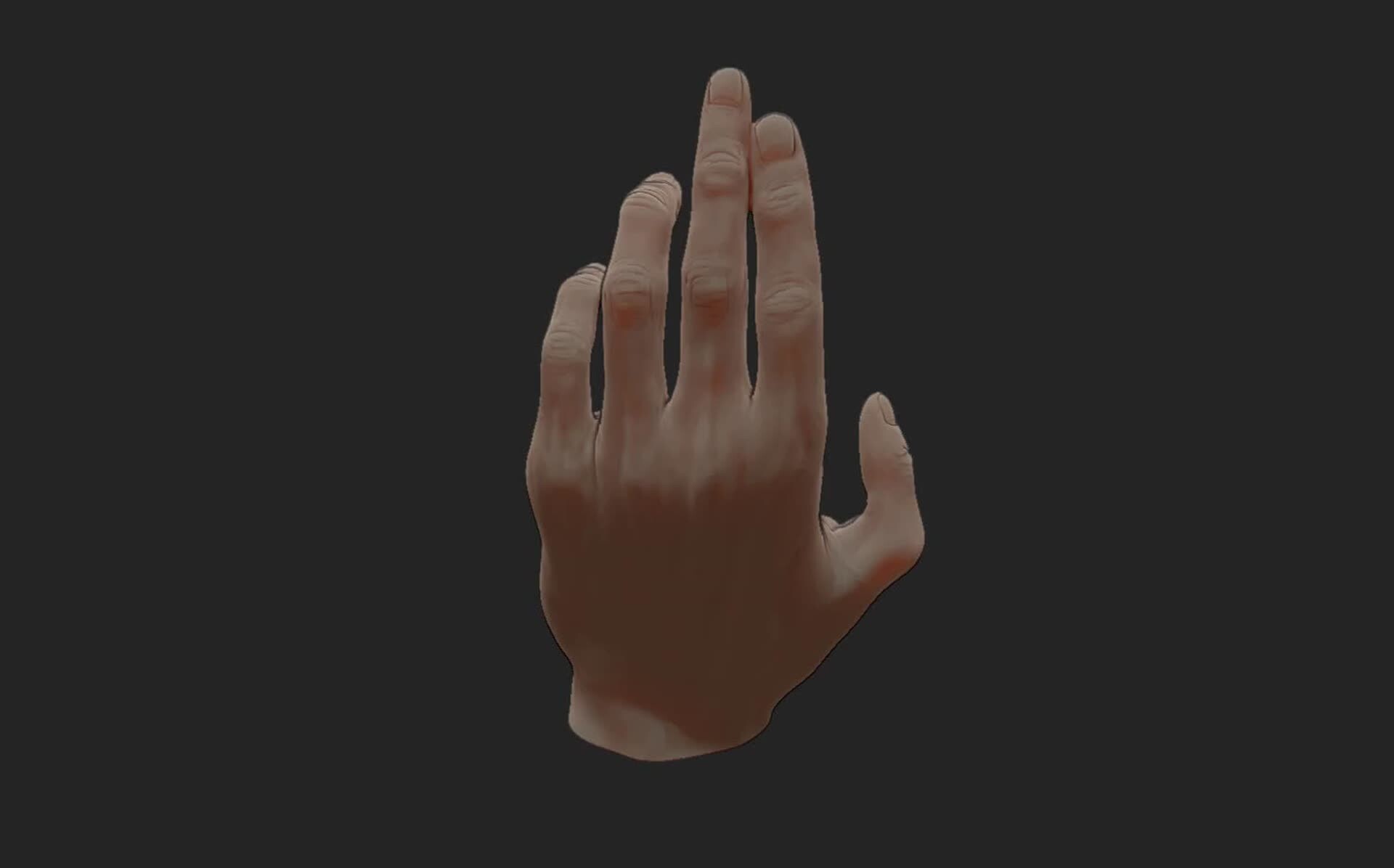 ArtStation - 3D Human Hand Practice Model Turntable Animation