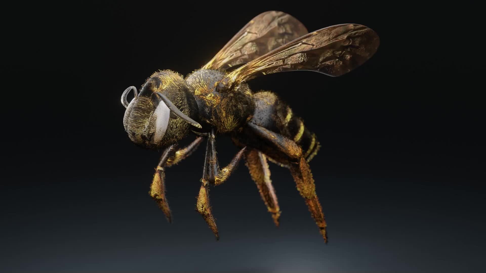 ArtStation - Low poly Bee animation 🐝🐝