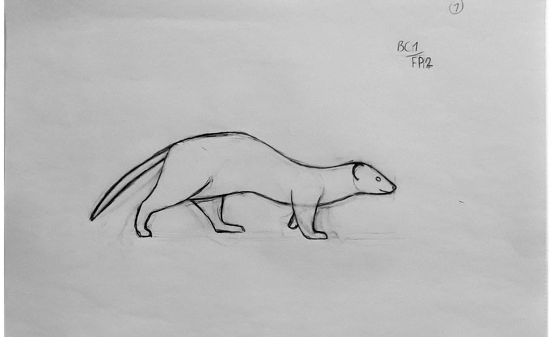 ArtStation - Ferret animation