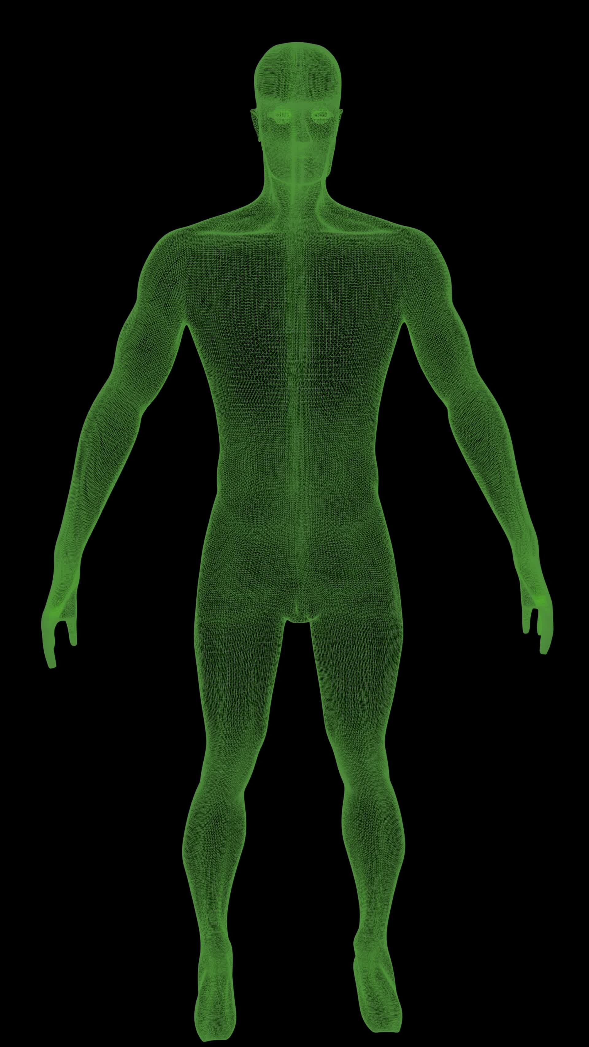 ArtStation - 3d Human