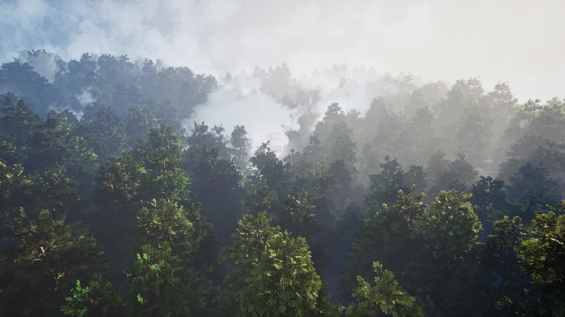 ArtStation - Mist Forest