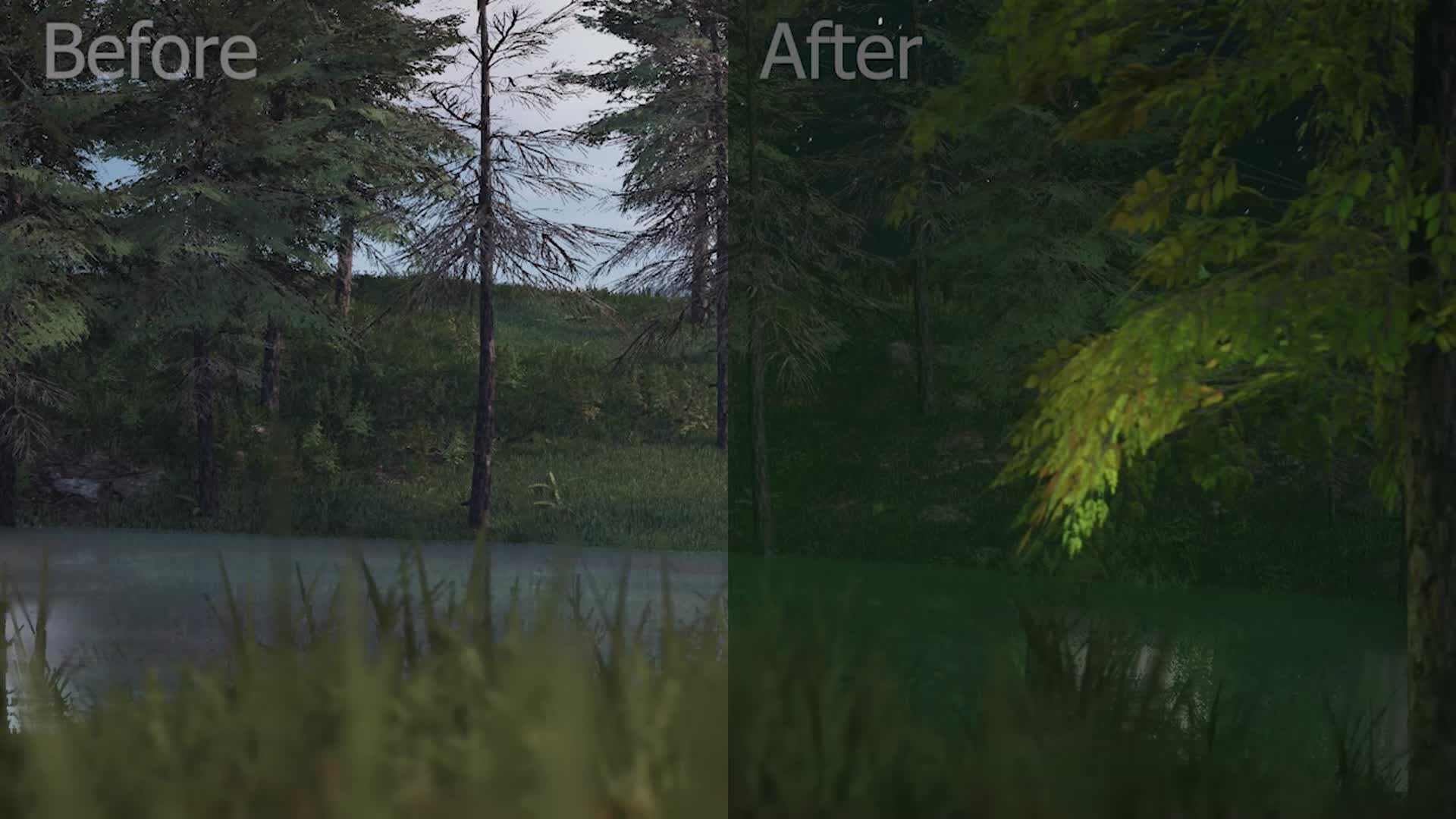 ArtStation - Forest Relighting on Unreal Engine 5