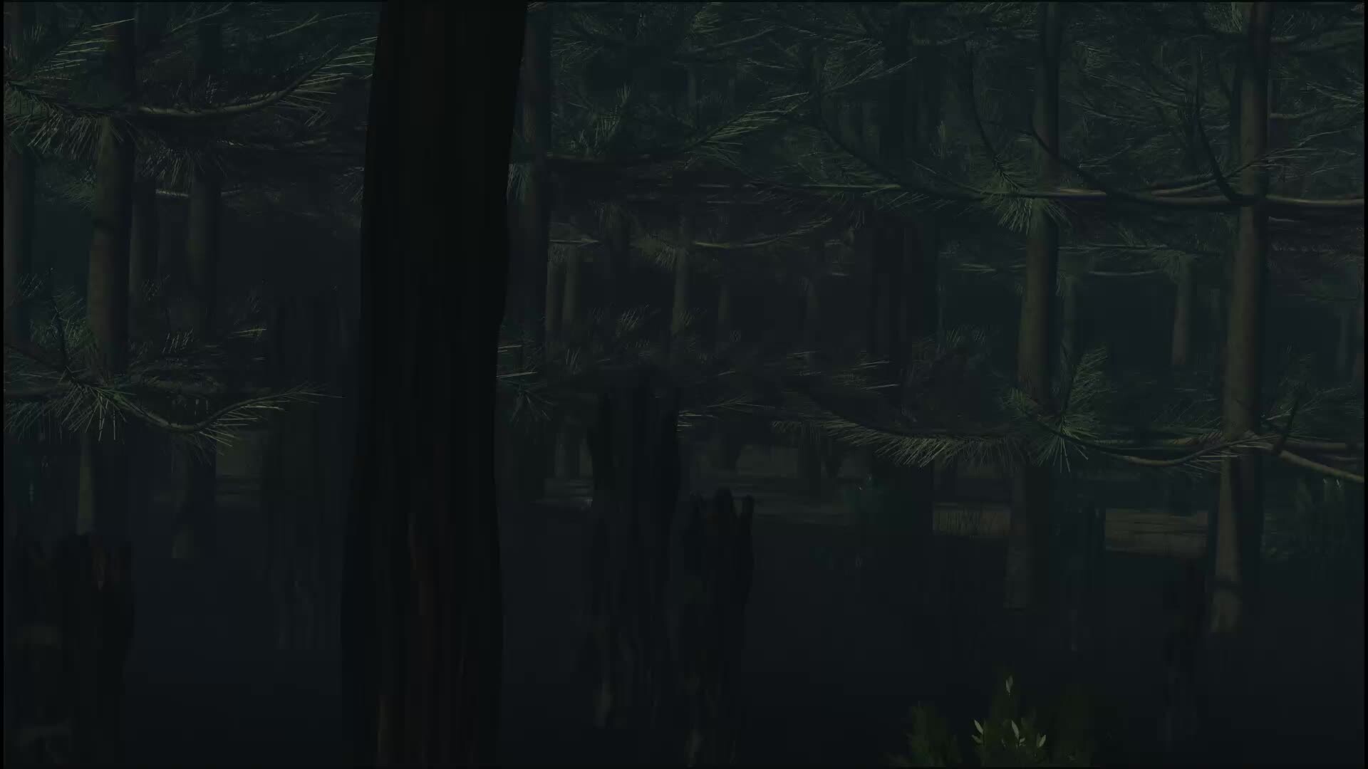 ArtStation - night of forest