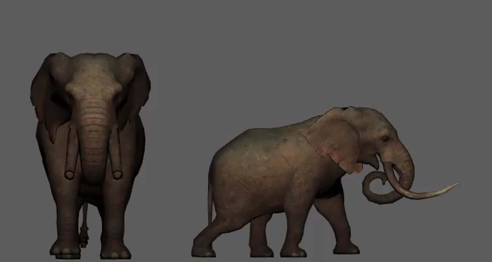 ArtStation - Creature Animations - Spring 2022