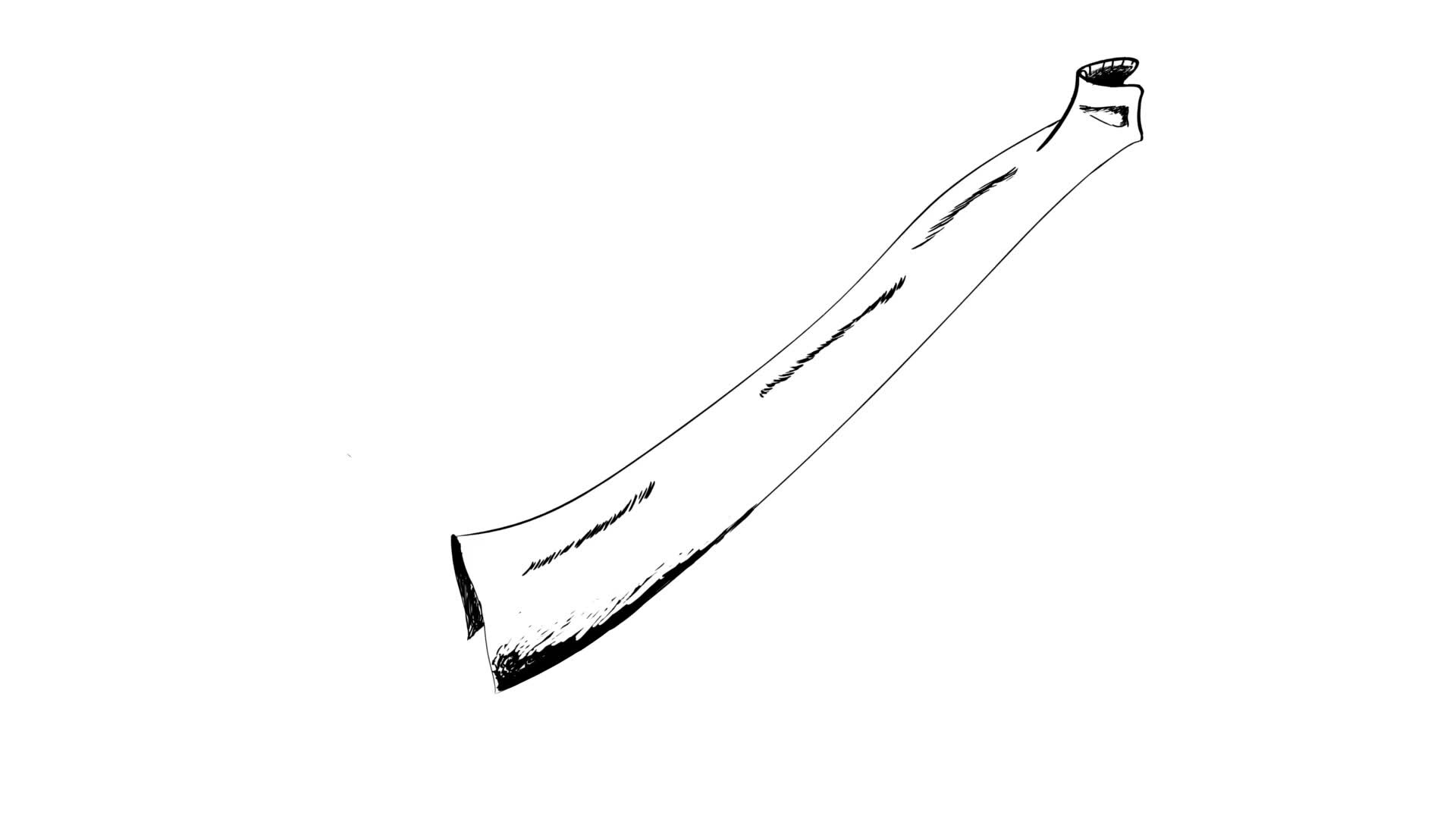 ArtStation - cloak (fabric animation)