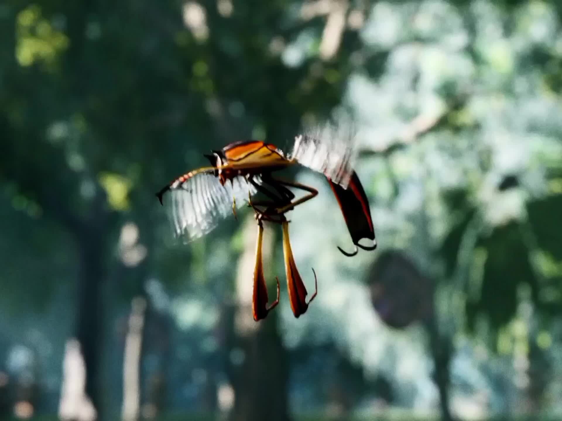 ArtStation - Updated render of Hellfire Wasp insect like creature side view