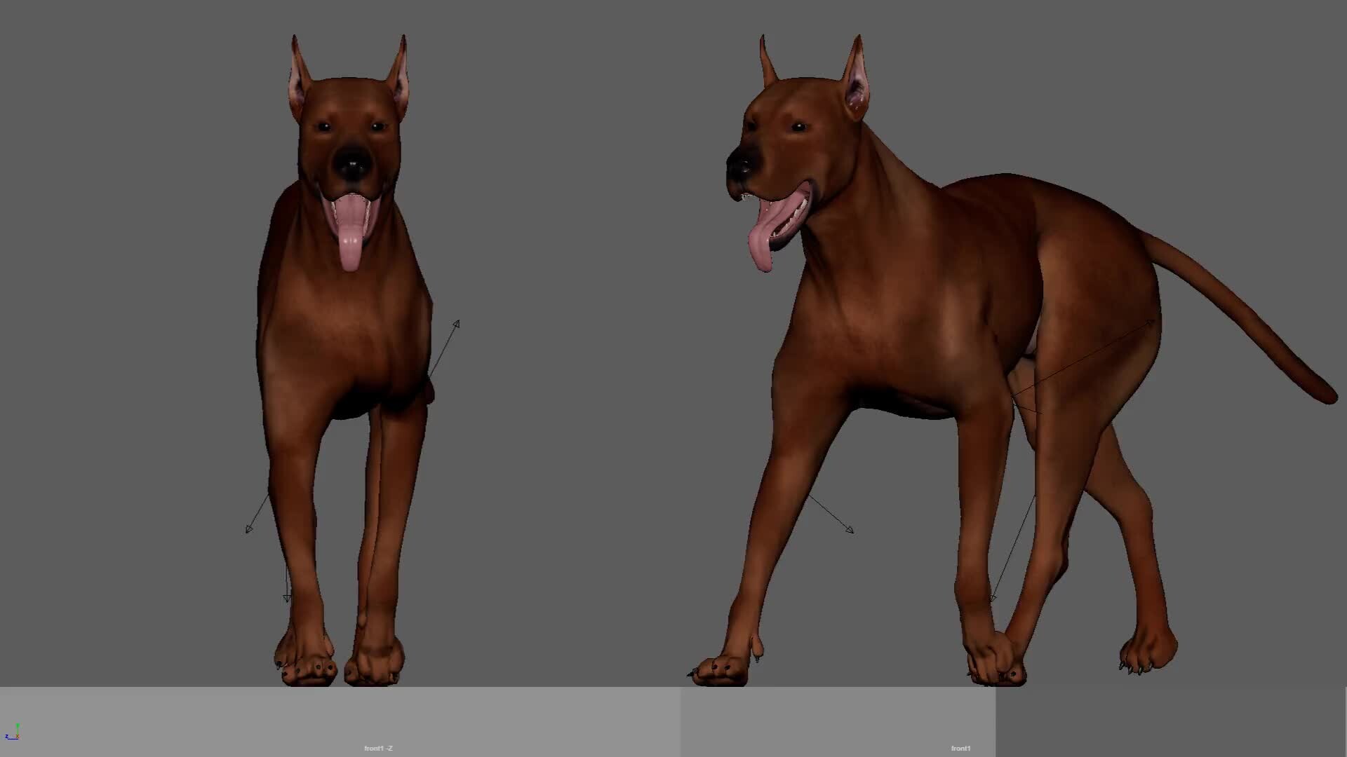 ArtStation - Dog Trot animation