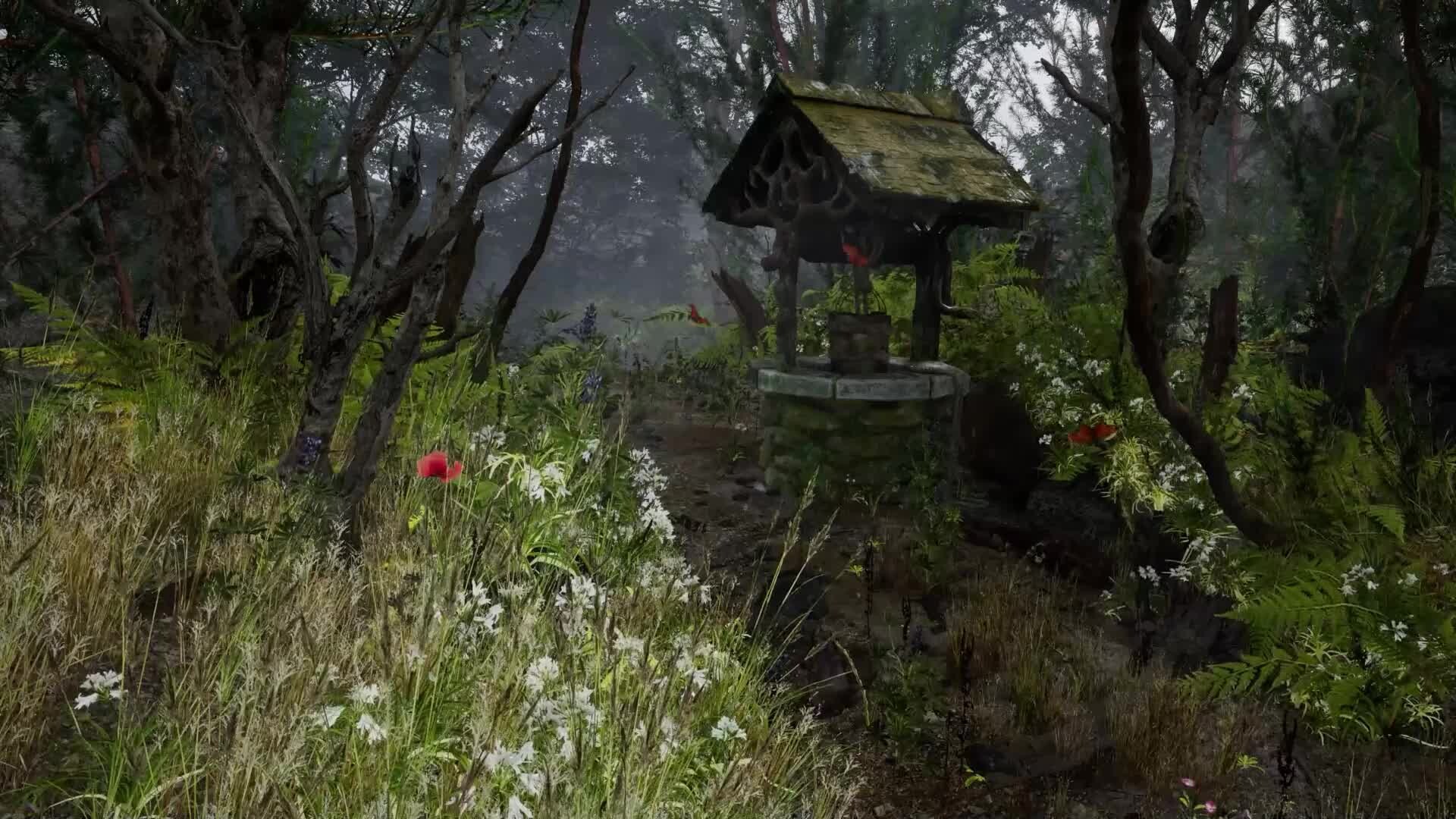 Greg Bott - The Wishing Well