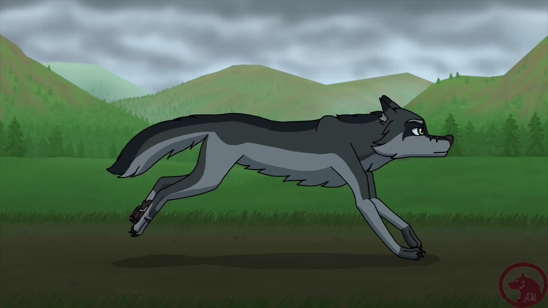 ArtStation - Wolf run cycle